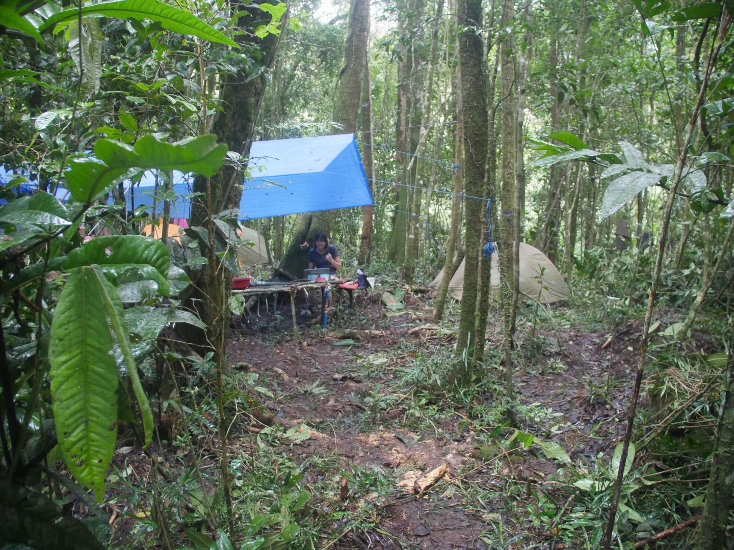 Fiber-Optic Jungle Insect Traffic Taster : 17 Steps (with Pictures ...