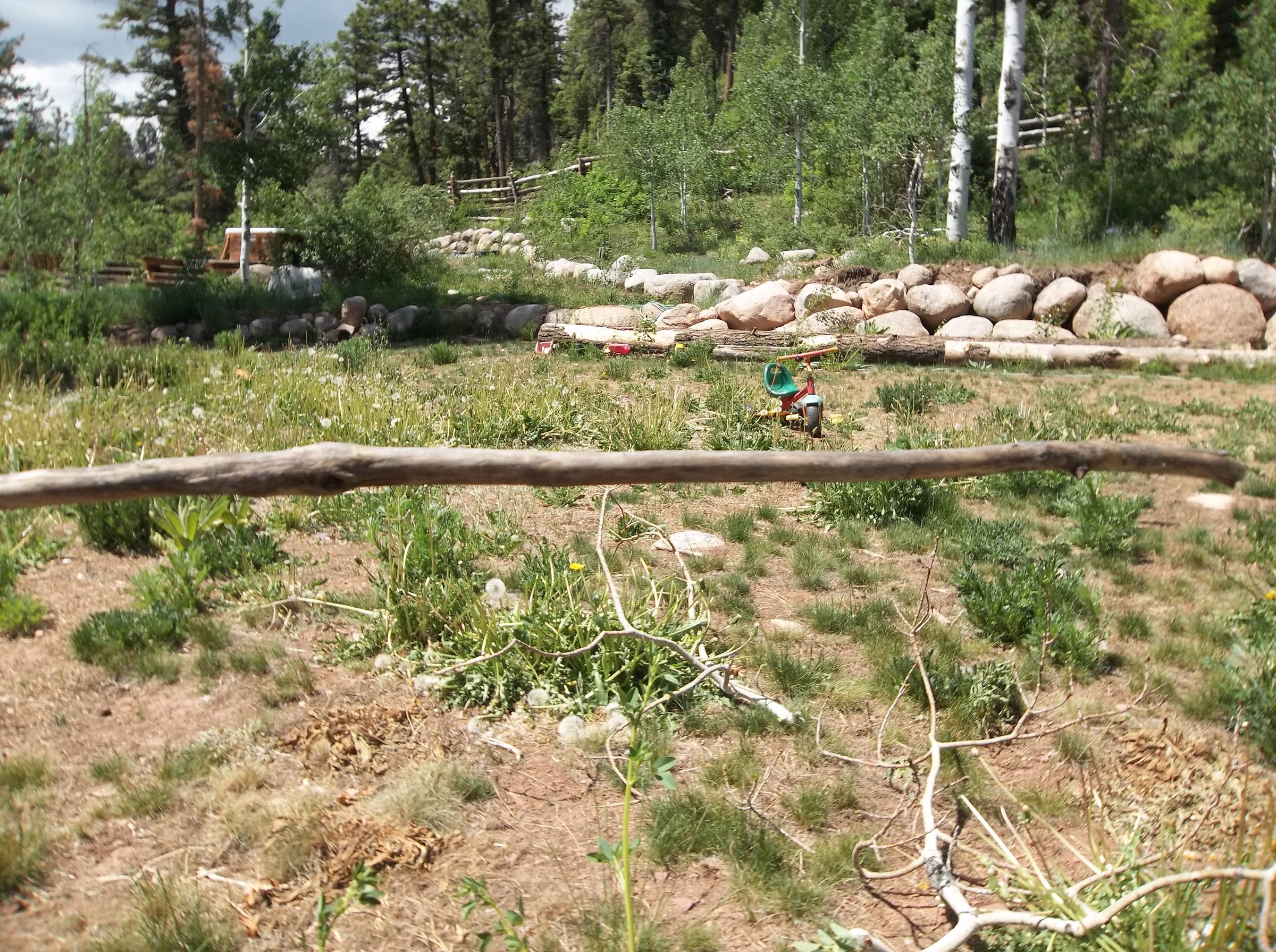 Paiute Deadfall Trap : 4 Steps (with Pictures) - Instructables