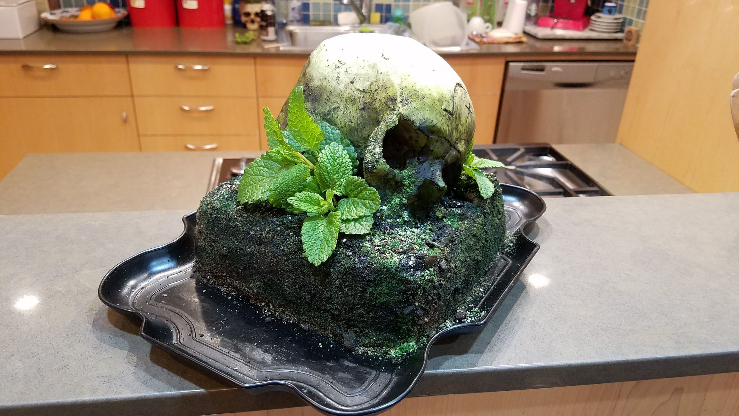 Mossy Skull Cake : 7 Steps (with Pictures) - Instructables