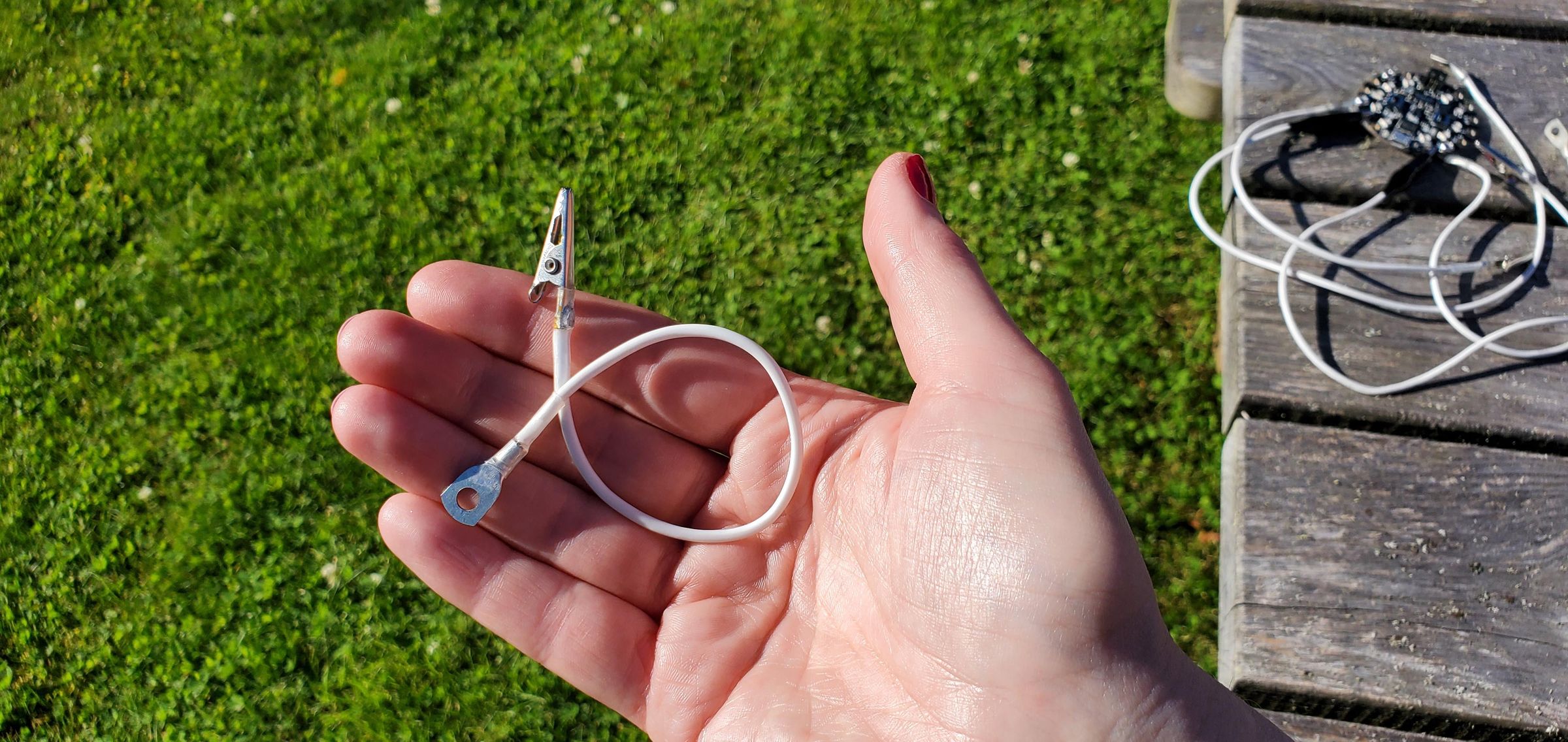 Croc-a-licious! Make Your Own Connectors: Crocodile Clips, Ring ...