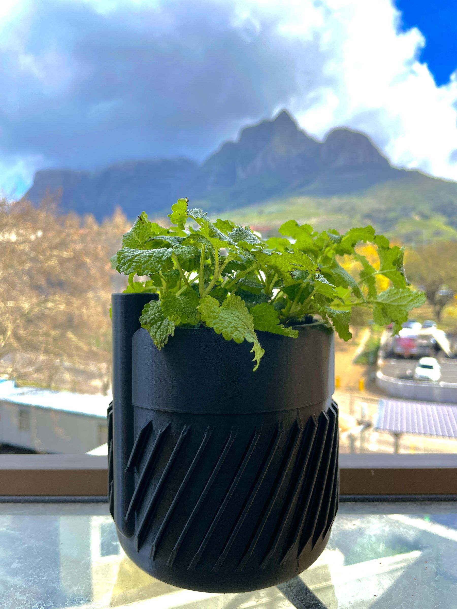 AI Self-Watering Plant Pot 🪴 : 11 Steps (with Pictures) - Instructables