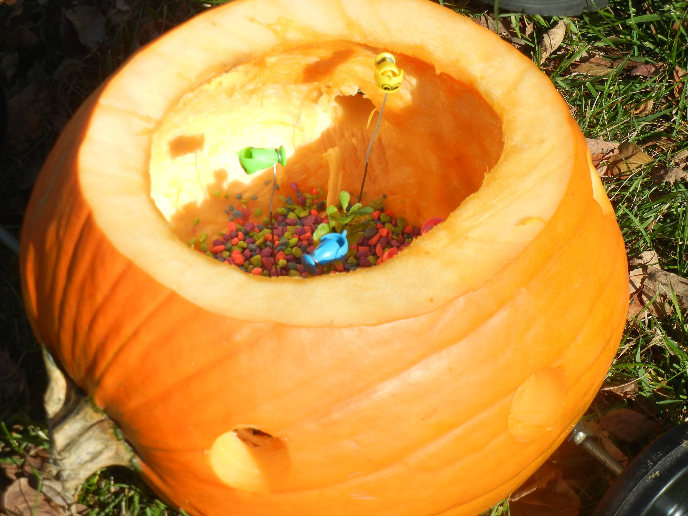 How to Build a PUMPKIN RACER With Two Parallel Independent Axles : 9 ...