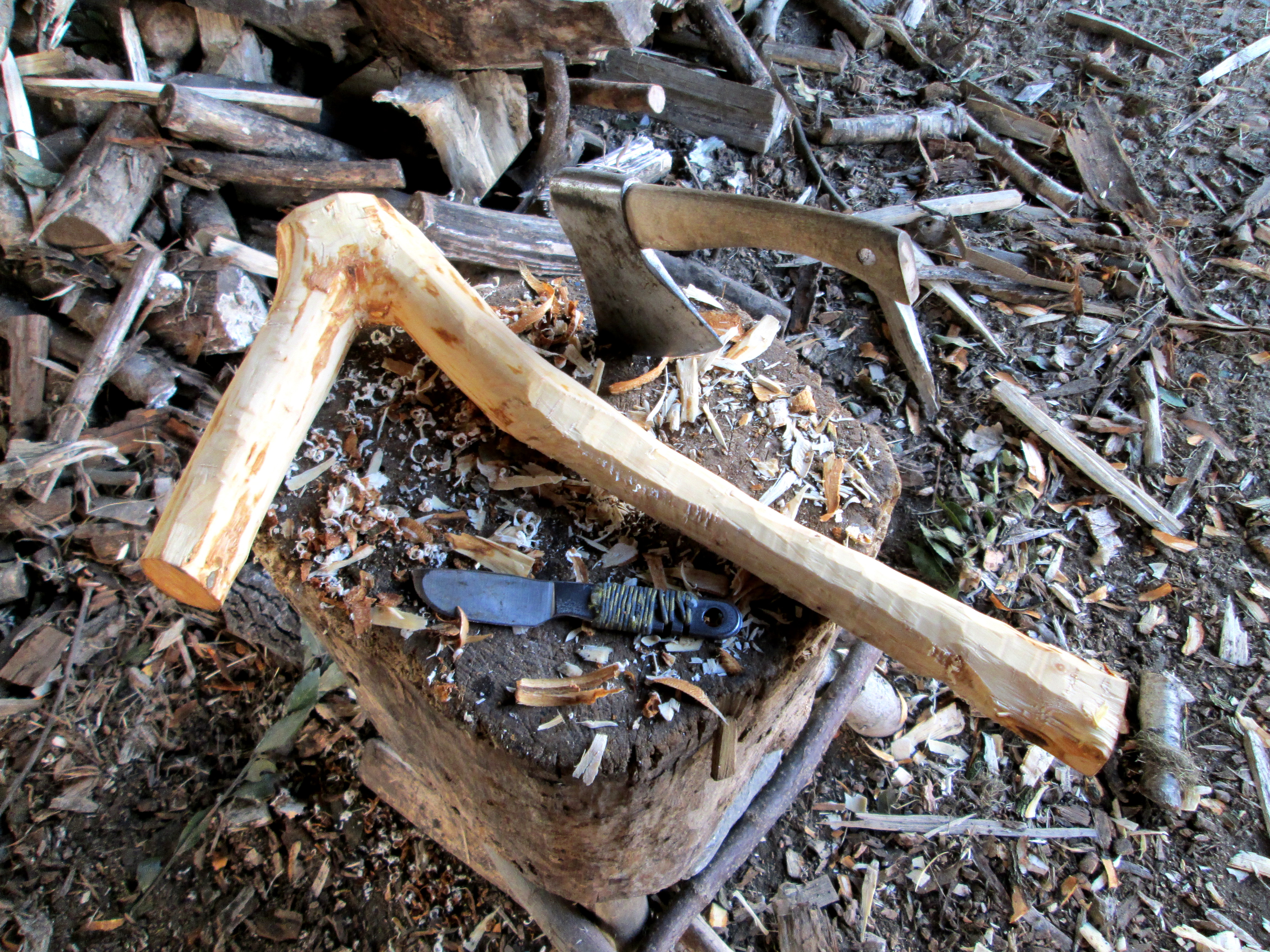 She-Hulk - the Revival of the Adze : 6 Steps (with Pictures ...