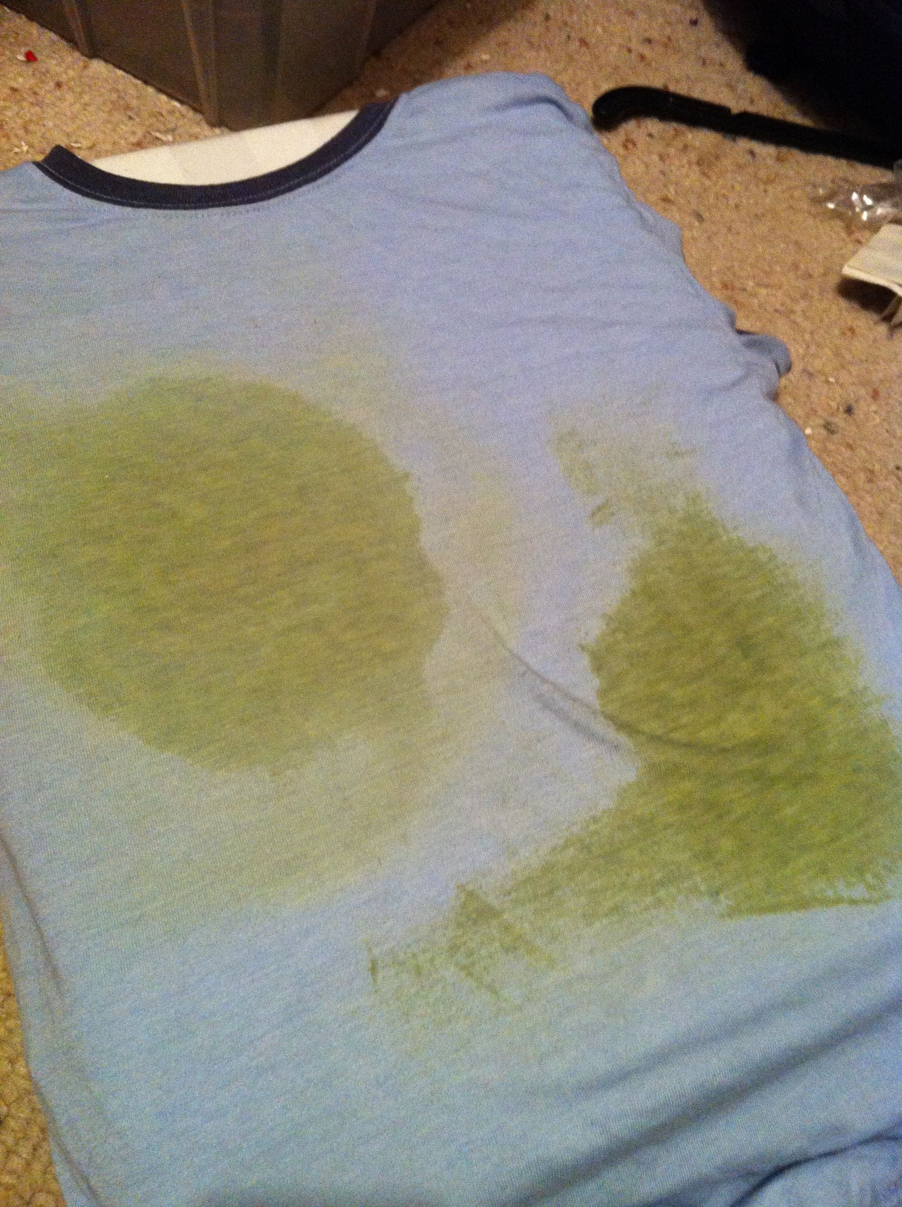 Cyanotypes on Fabric : 6 Steps (with Pictures) - Instructables