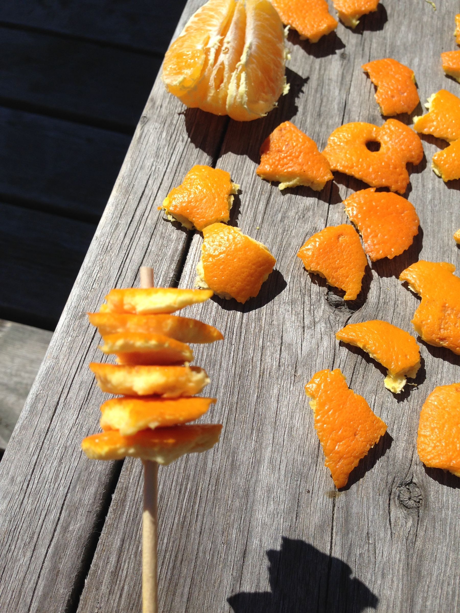Orange Peel Skewers : 4 Steps (with Pictures) - Instructables