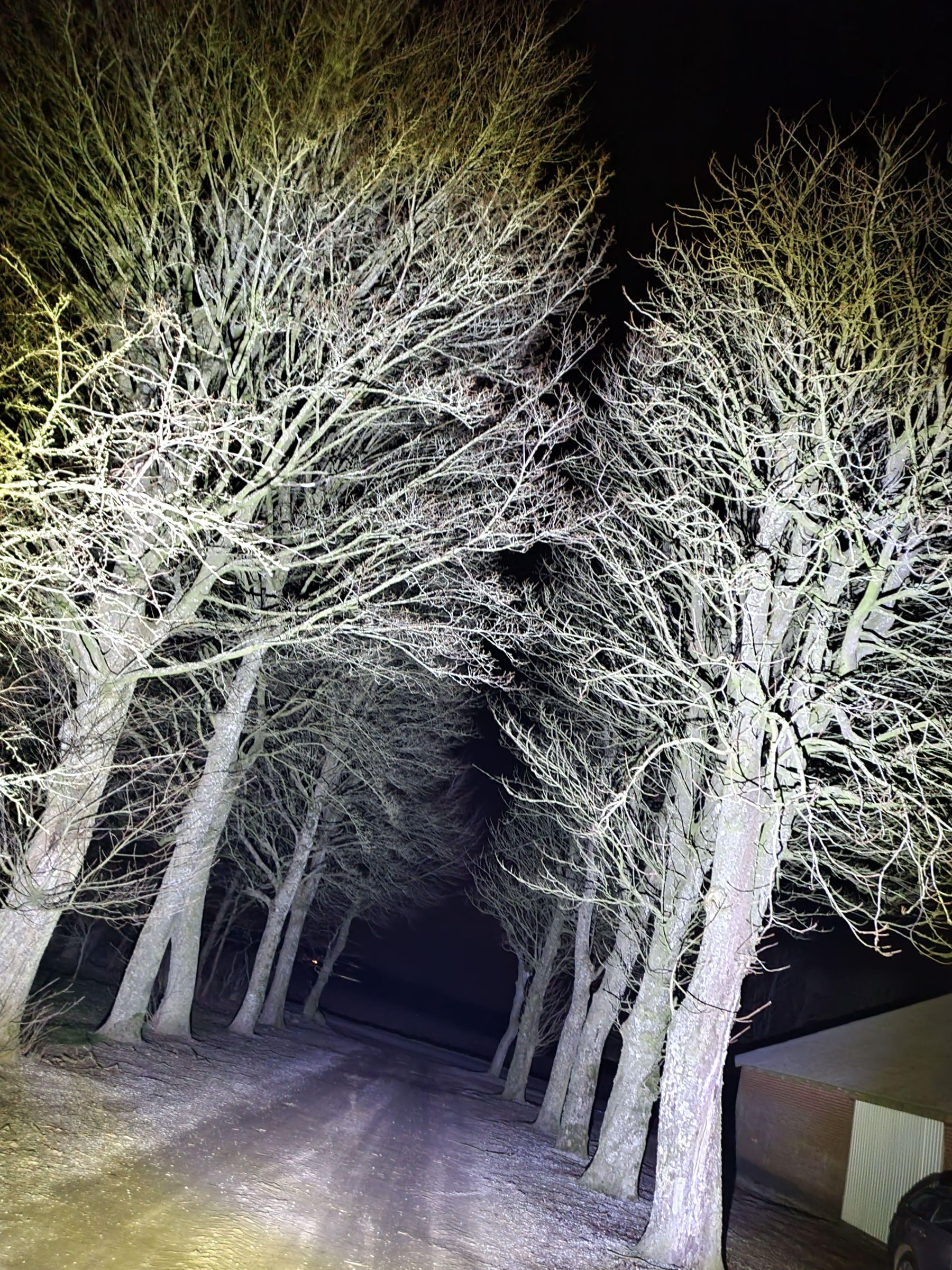 100w DIY 3d Printed Flashlight : 4 Steps - Instructables