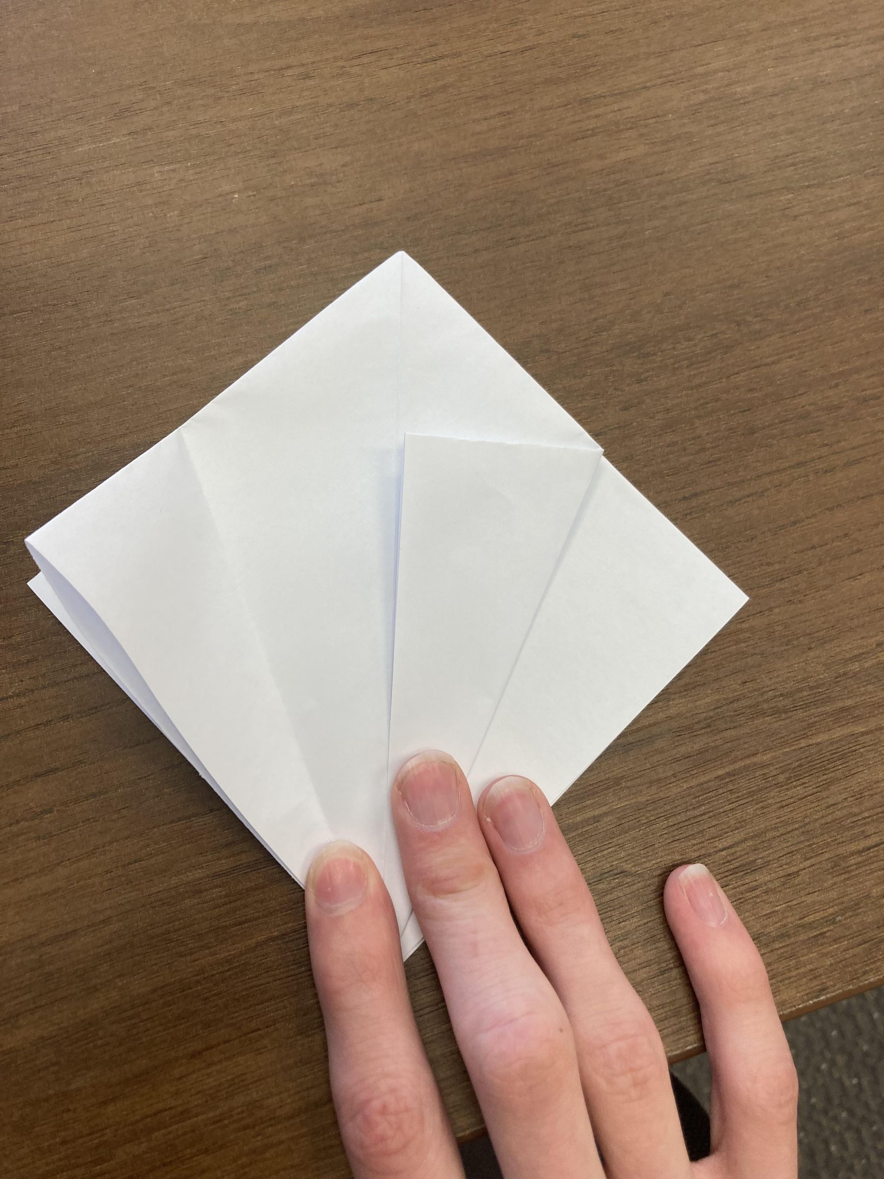 Folding a Paper Crane : 16 Steps (with Pictures) - Instructables
