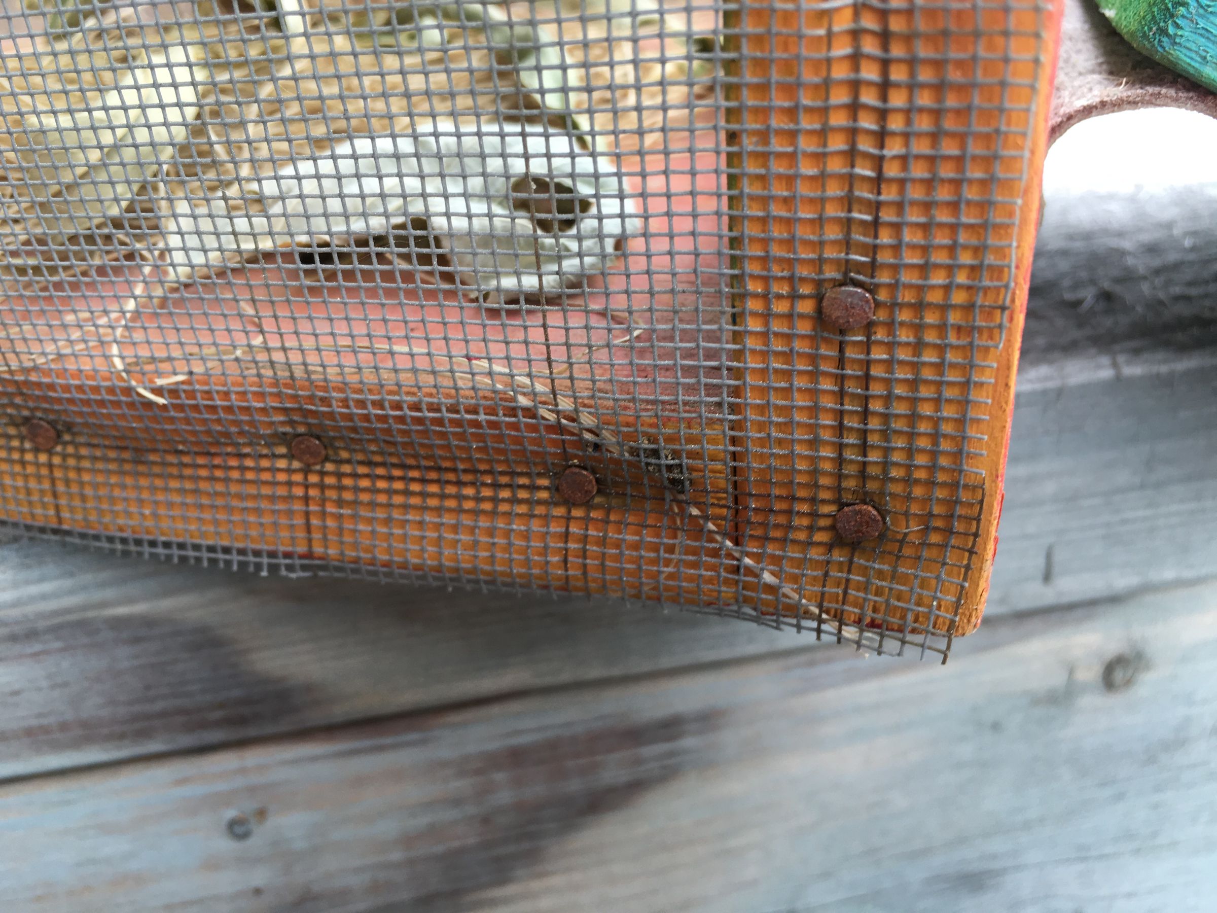 Bug House for Kids : 8 Steps (with Pictures) - Instructables