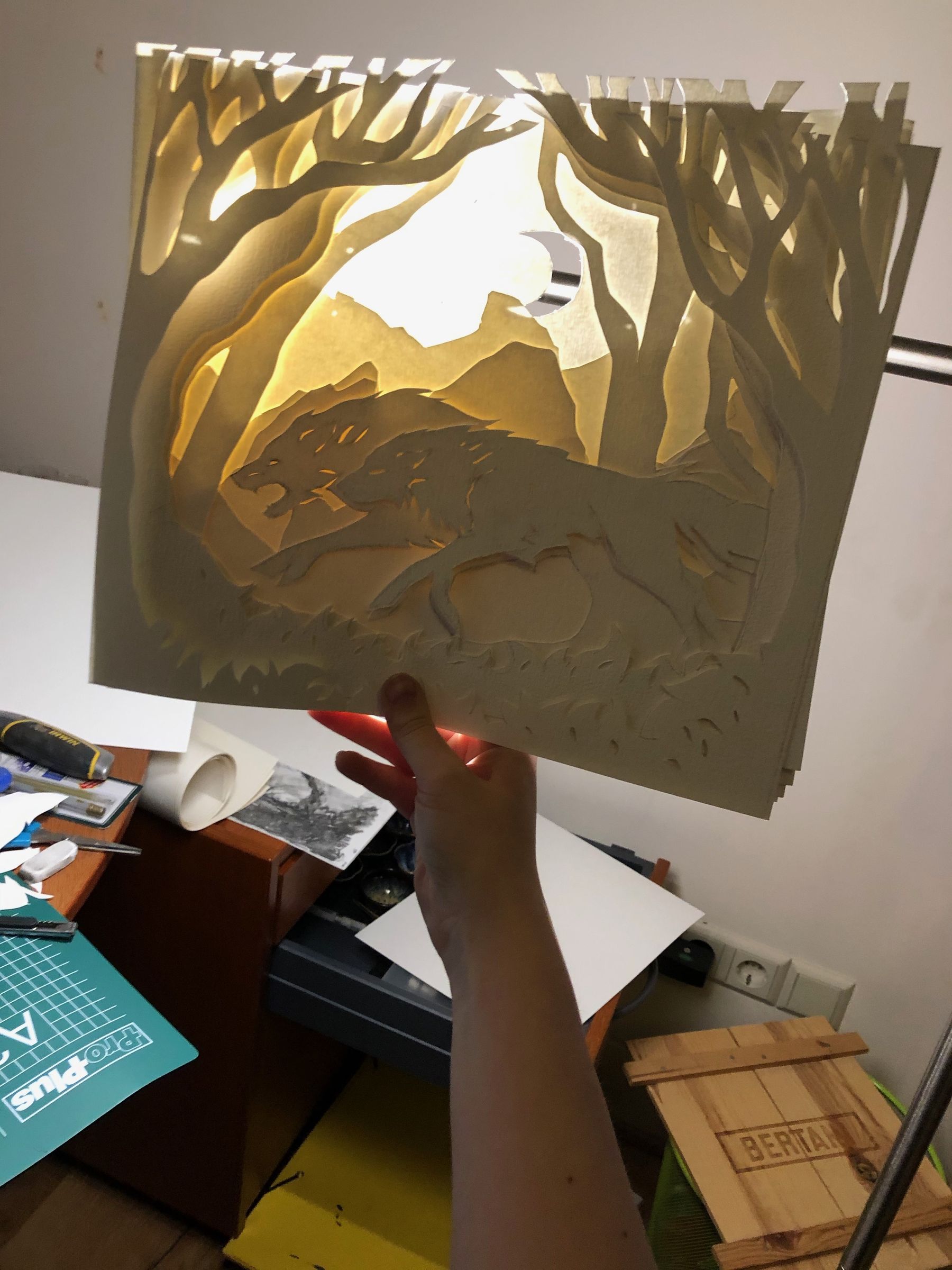 Interactive Papercut Lightbox With Arduino : 6 Steps - Instructables