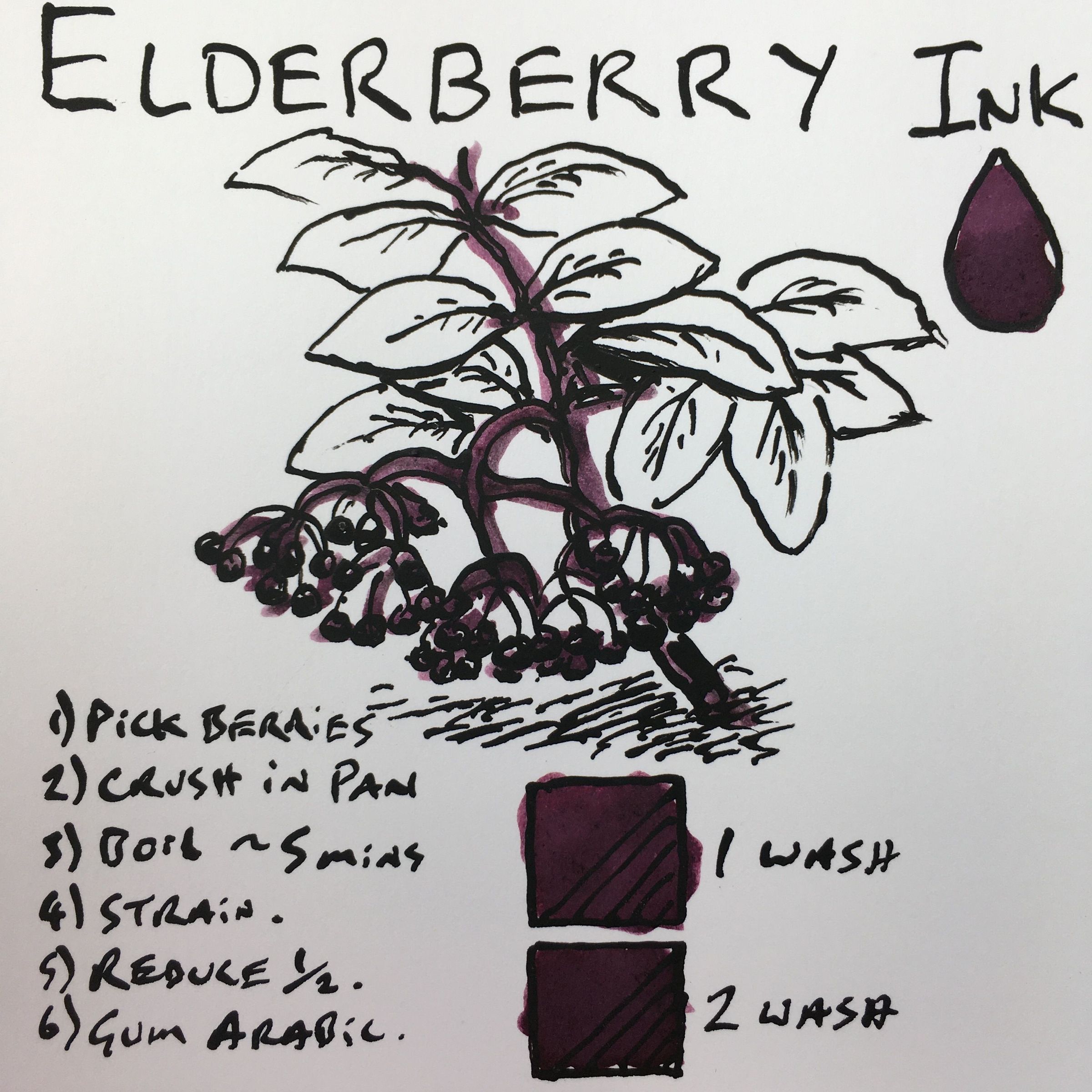 Home Made Ink From Nature: Perfect Purples : 18 Steps (with Pictures ...