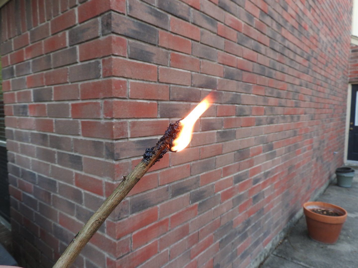 Sap Fire Starter : 8 Steps (with Pictures) - Instructables