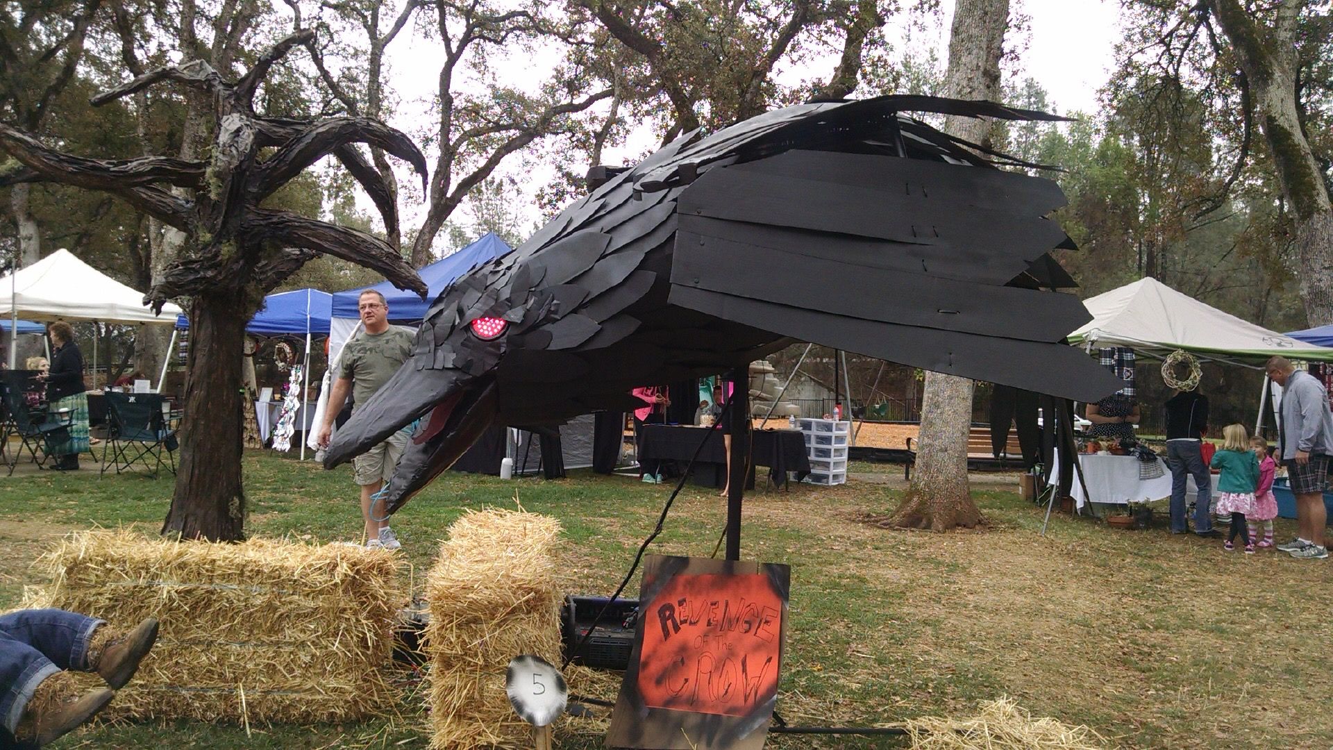 Robotic Crow : 4 Steps (with Pictures) - Instructables