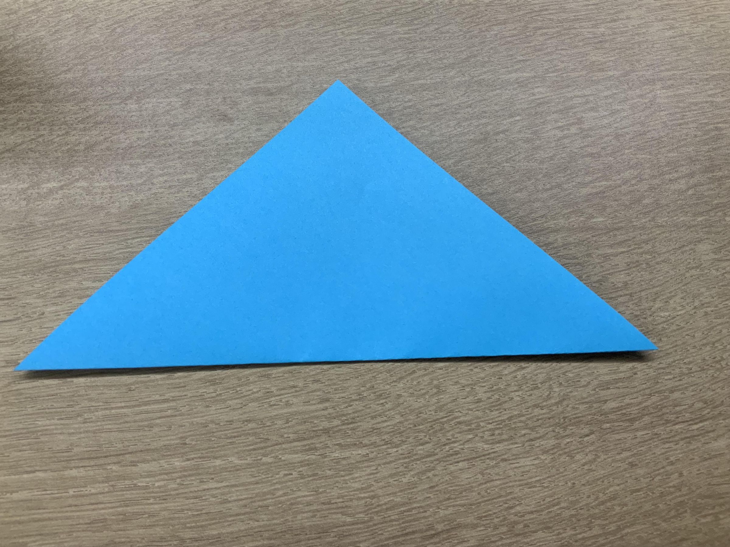 Origami Paper Bird : 10 Steps - Instructables