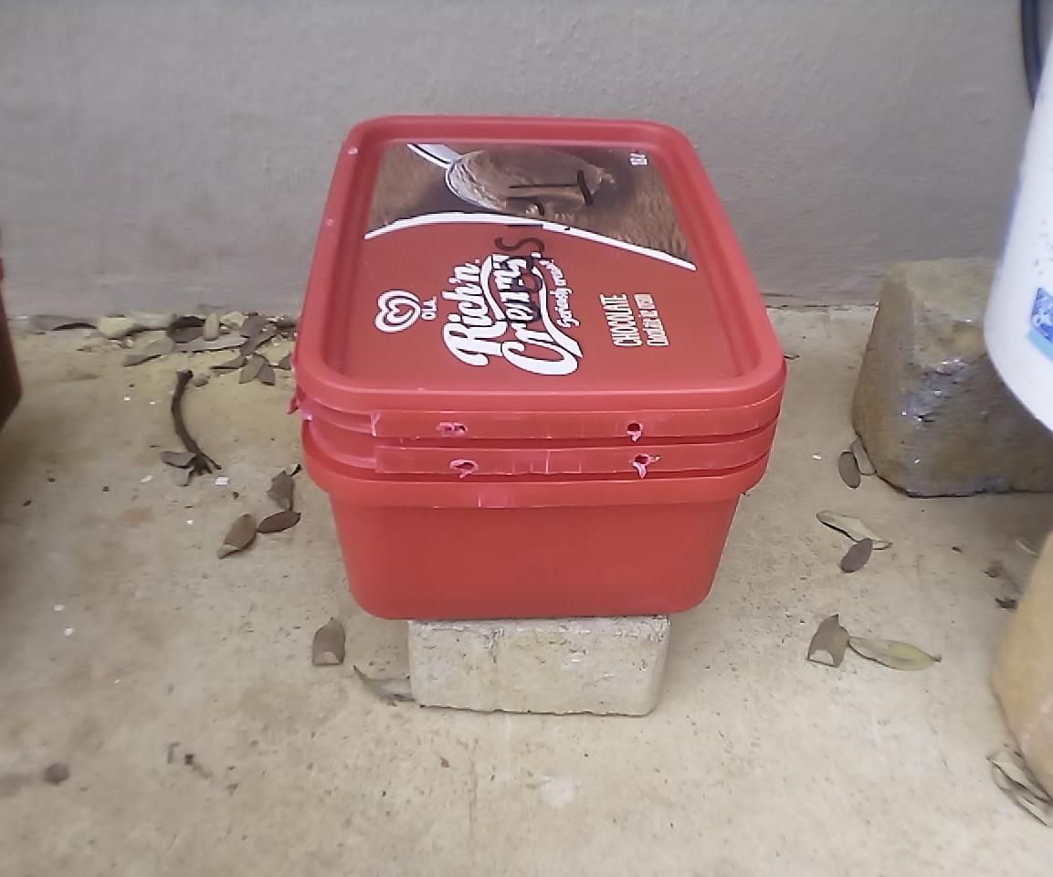 How to Make a Mini Wormery Out of Ice Cream Containers : 6 Steps ...