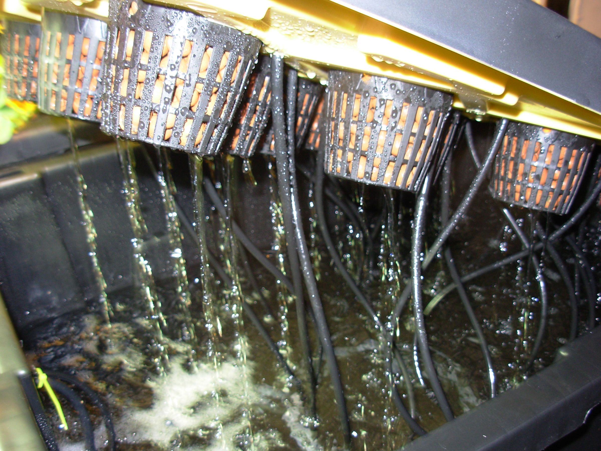 How to Build a Home Hydroponics System : 8 Steps (with Pictures ...