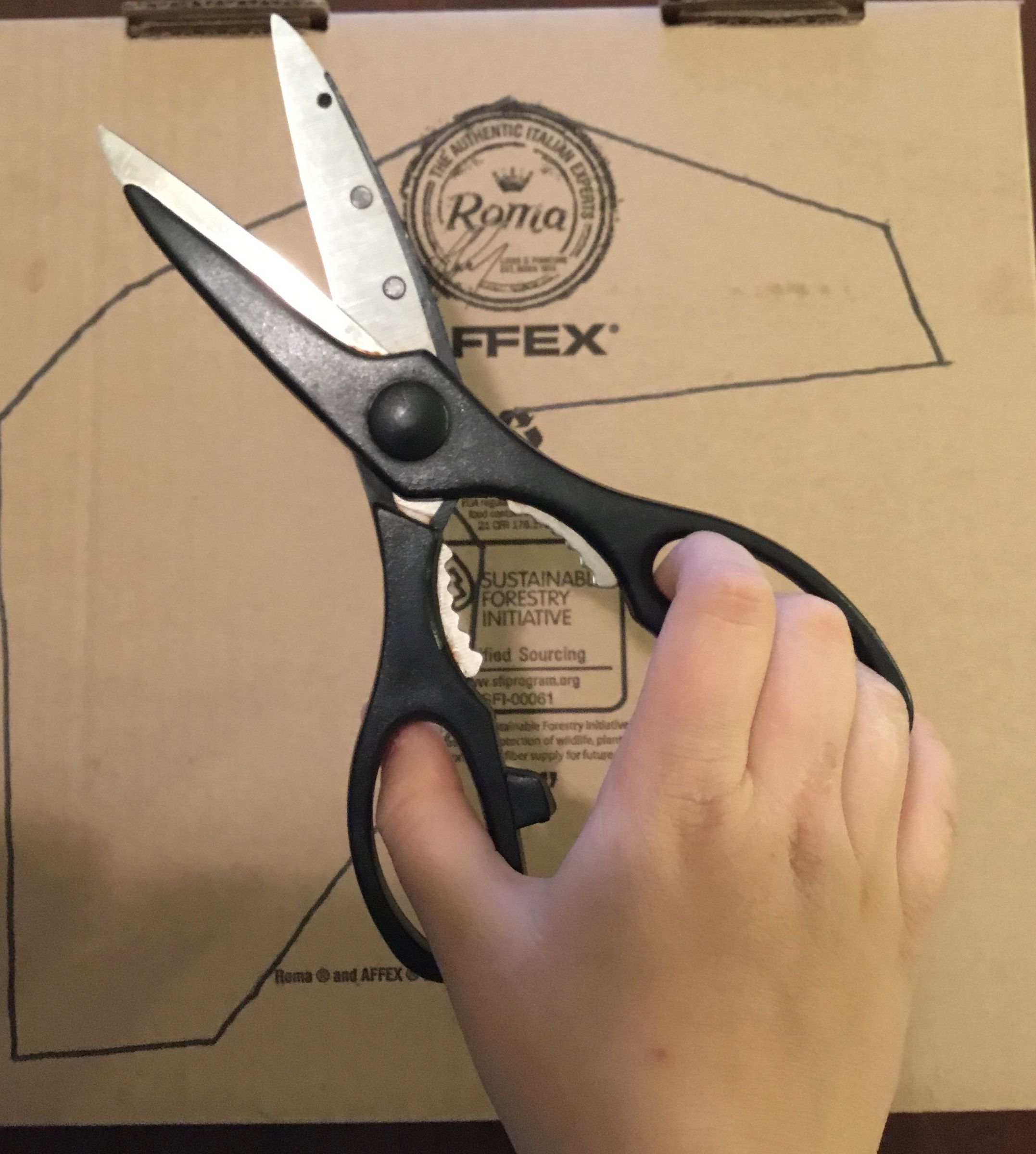 Cardboard Toucan : 3 Steps - Instructables