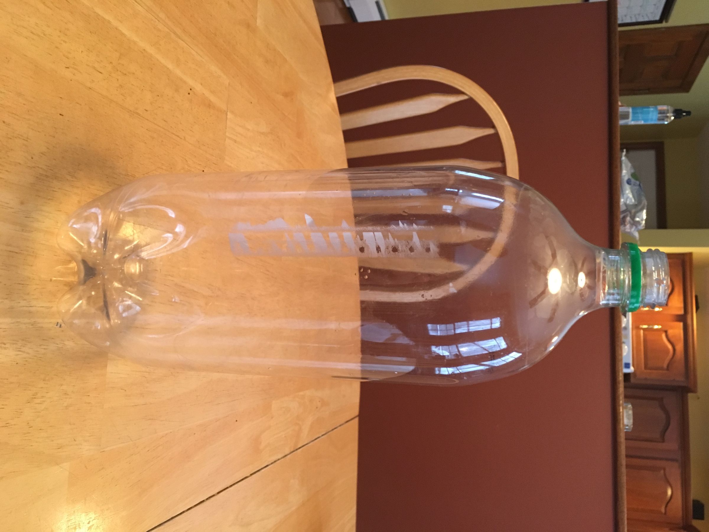 Closed Ecosystems : 9 Steps (with Pictures) - Instructables