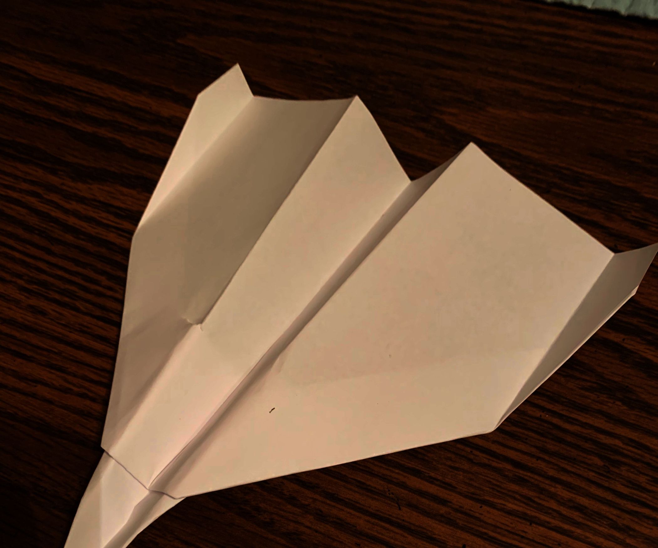 Fighter Jet Paper Airplane : 8 Steps - Instructables