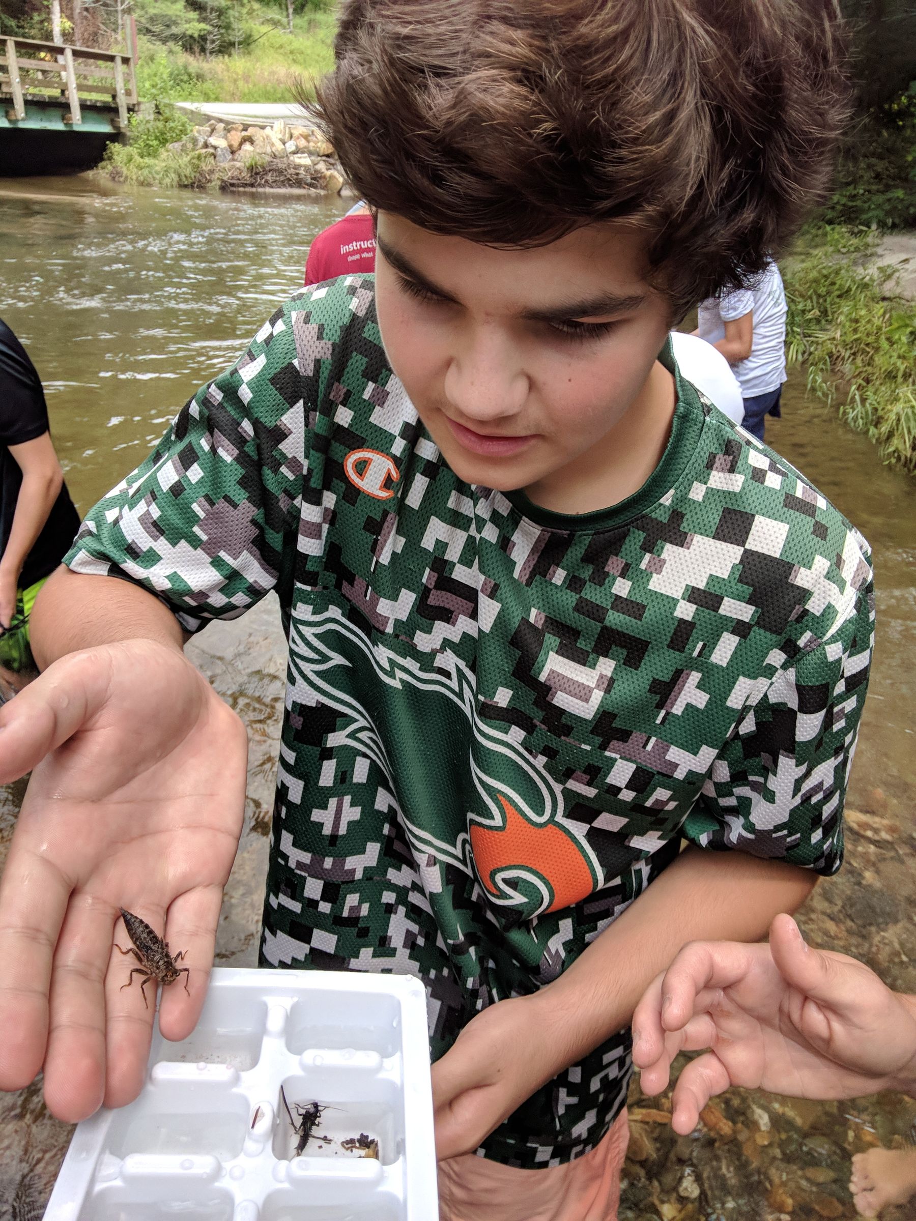 Ice Cube Tray Bug Holder (with Pictures) - Instructables
