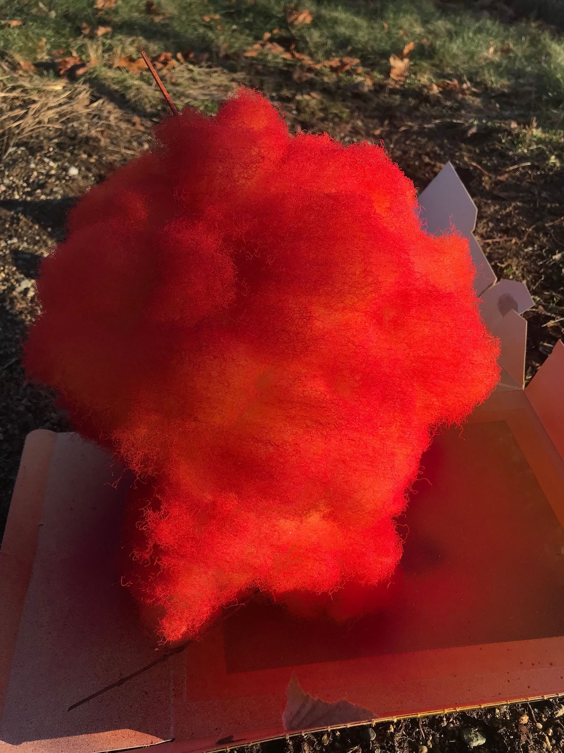 Exploding Lamp : 5 Steps (with Pictures) - Instructables