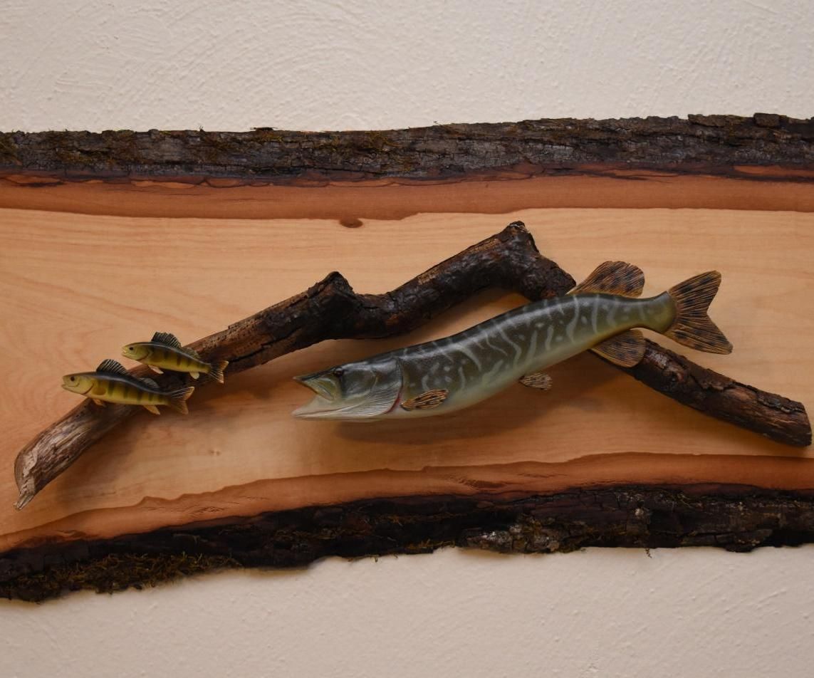 Carve a Northern Pike From Wood : 10 Steps (with Pictures) - Instructables
