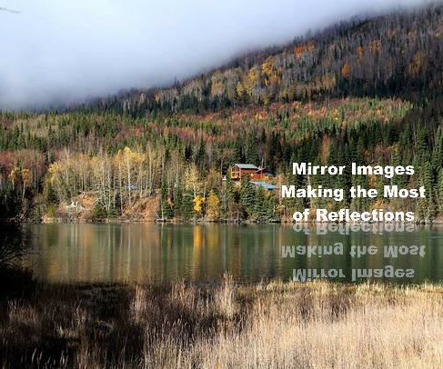 Mirror Images In Nature