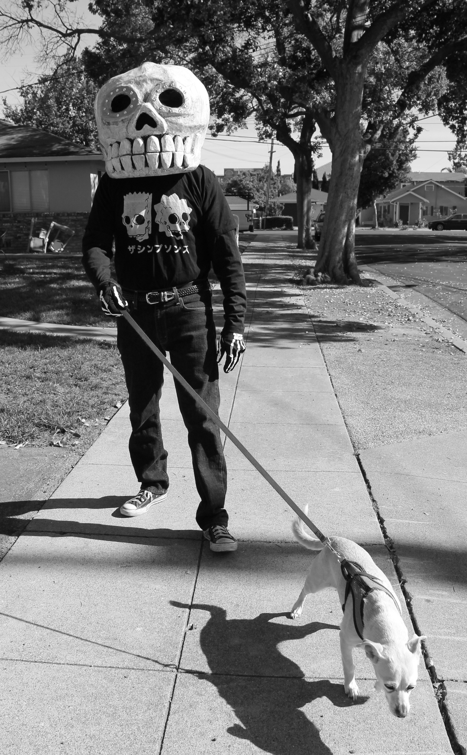 Paper Mache Skull : 6 Steps (with Pictures) - Instructables