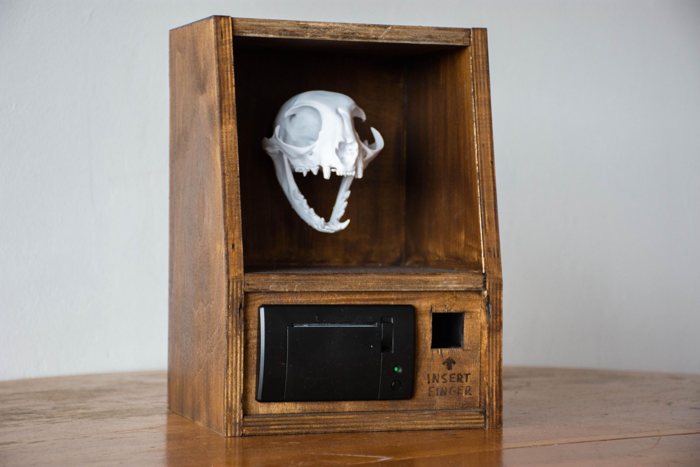 Quantum Death Machine 💀 (with Pictures) - Instructables