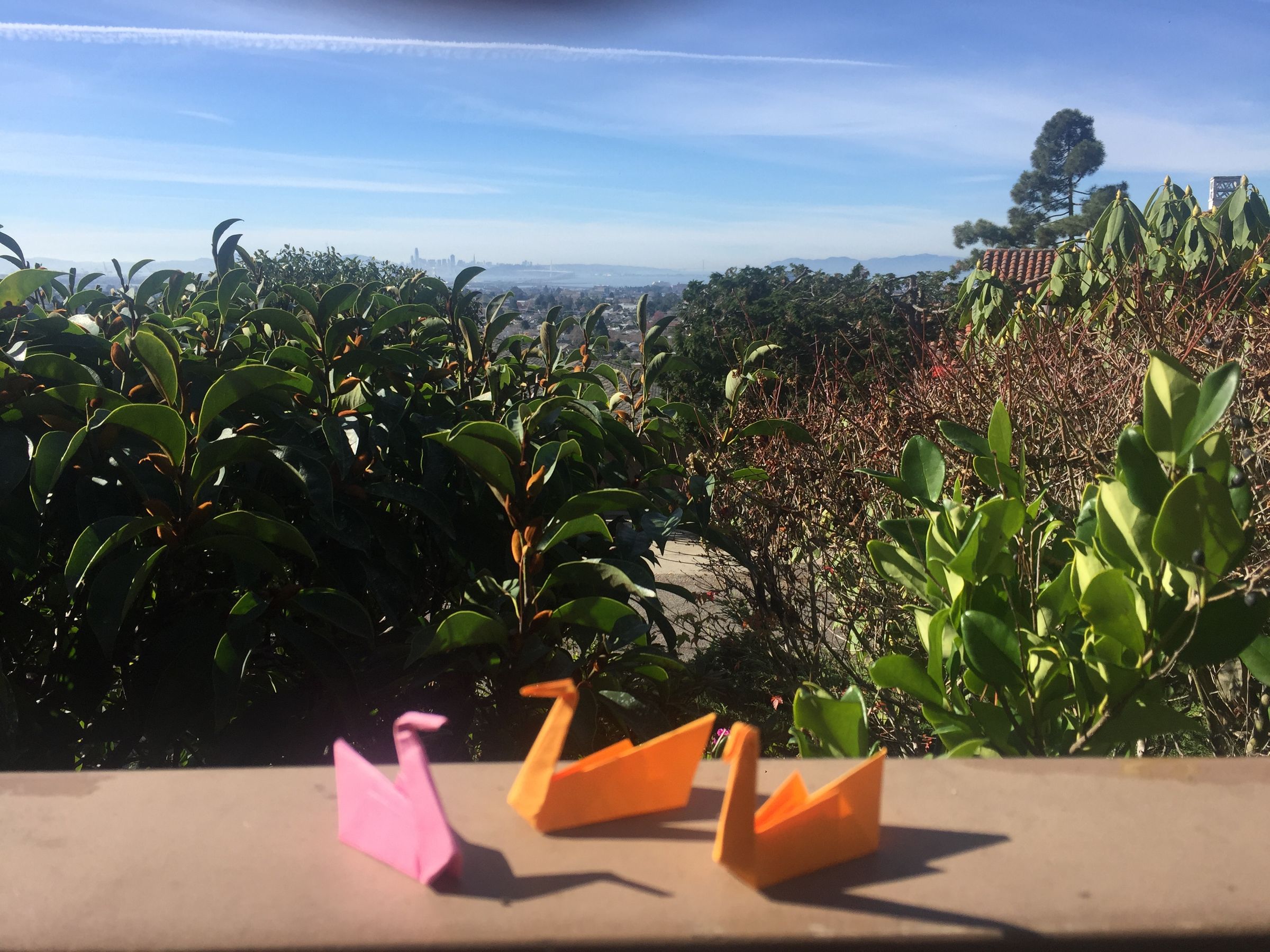 How to Make an Origami Swan With a Post-it : 14 Steps - Instructables