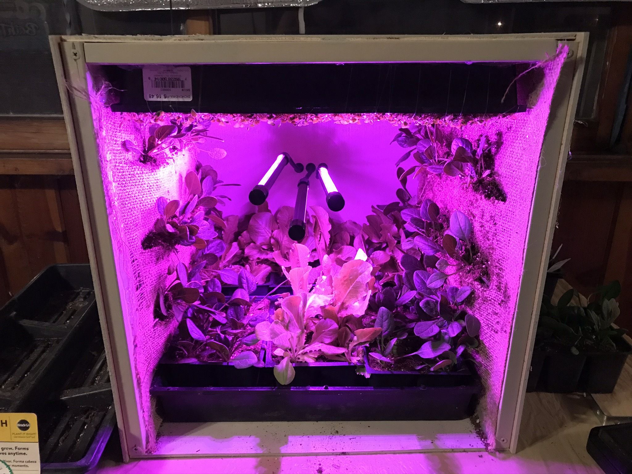 Zero Gravity Garden -Grow Beyond Earth : 6 Steps - Instructables