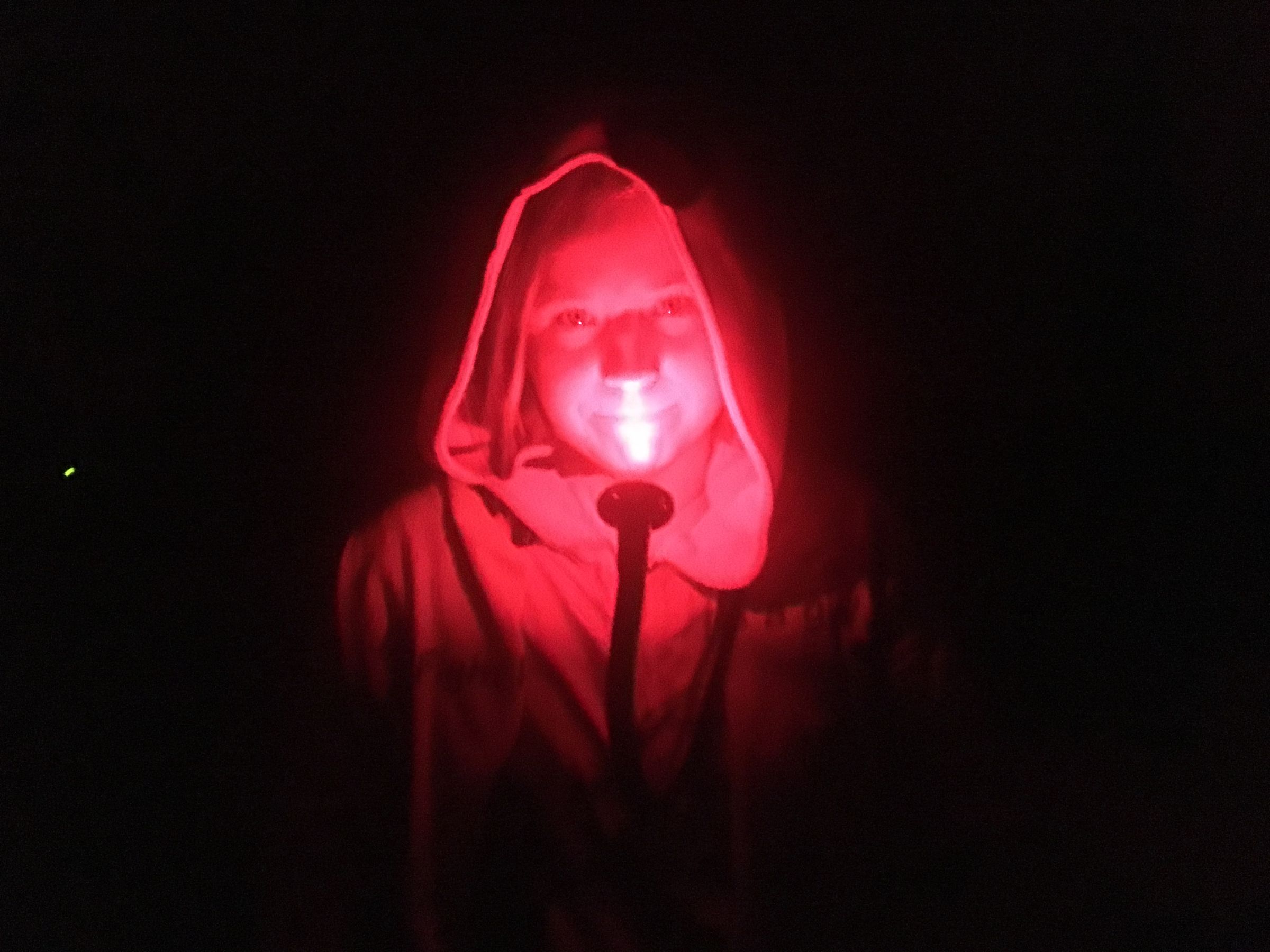 Arduino Sound Sensing Light for the Deaf : 9 Steps (with Pictures ...