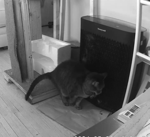 Cat Inappropriate Pooper Deterrent : 4 Steps - Instructables