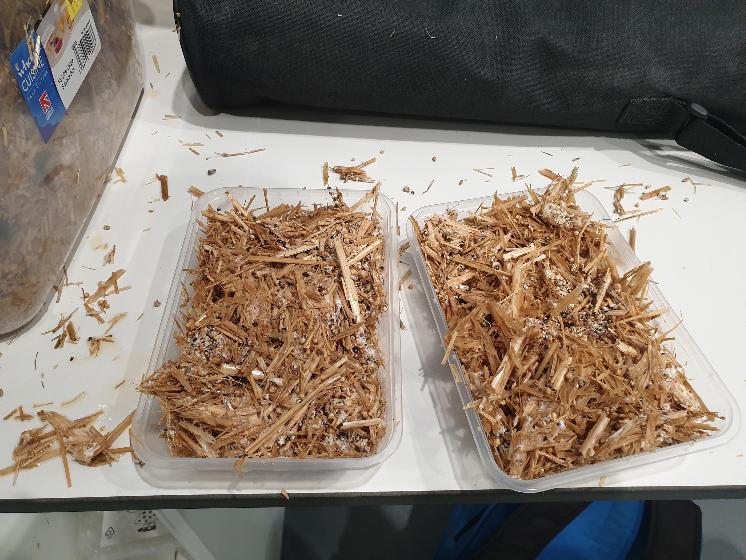 Growing Mycelium Materials at Home : 6 Steps - Instructables