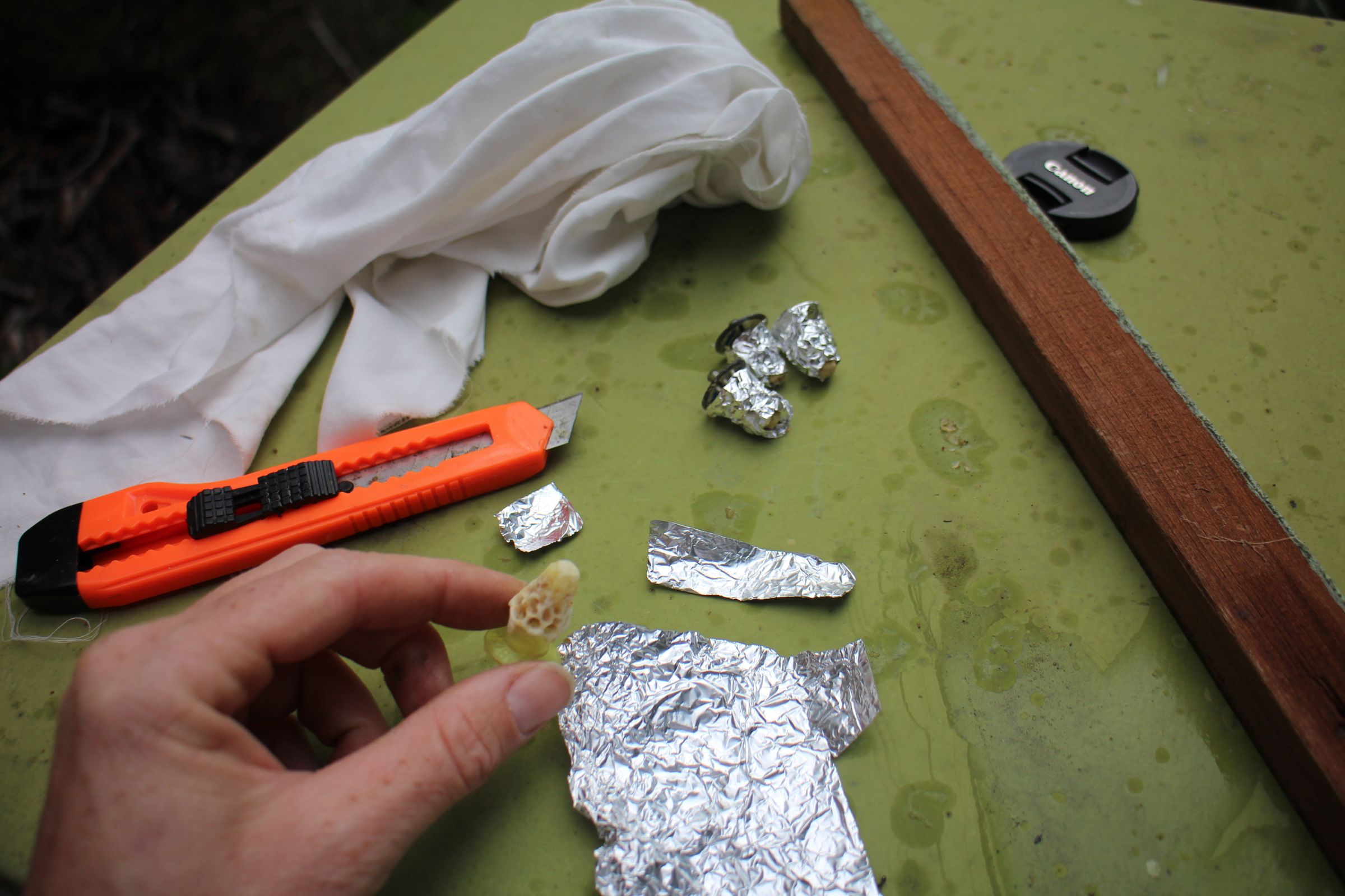 Nucleus Colony -or- How to Start a Beehive : 8 Steps (with Pictures ...