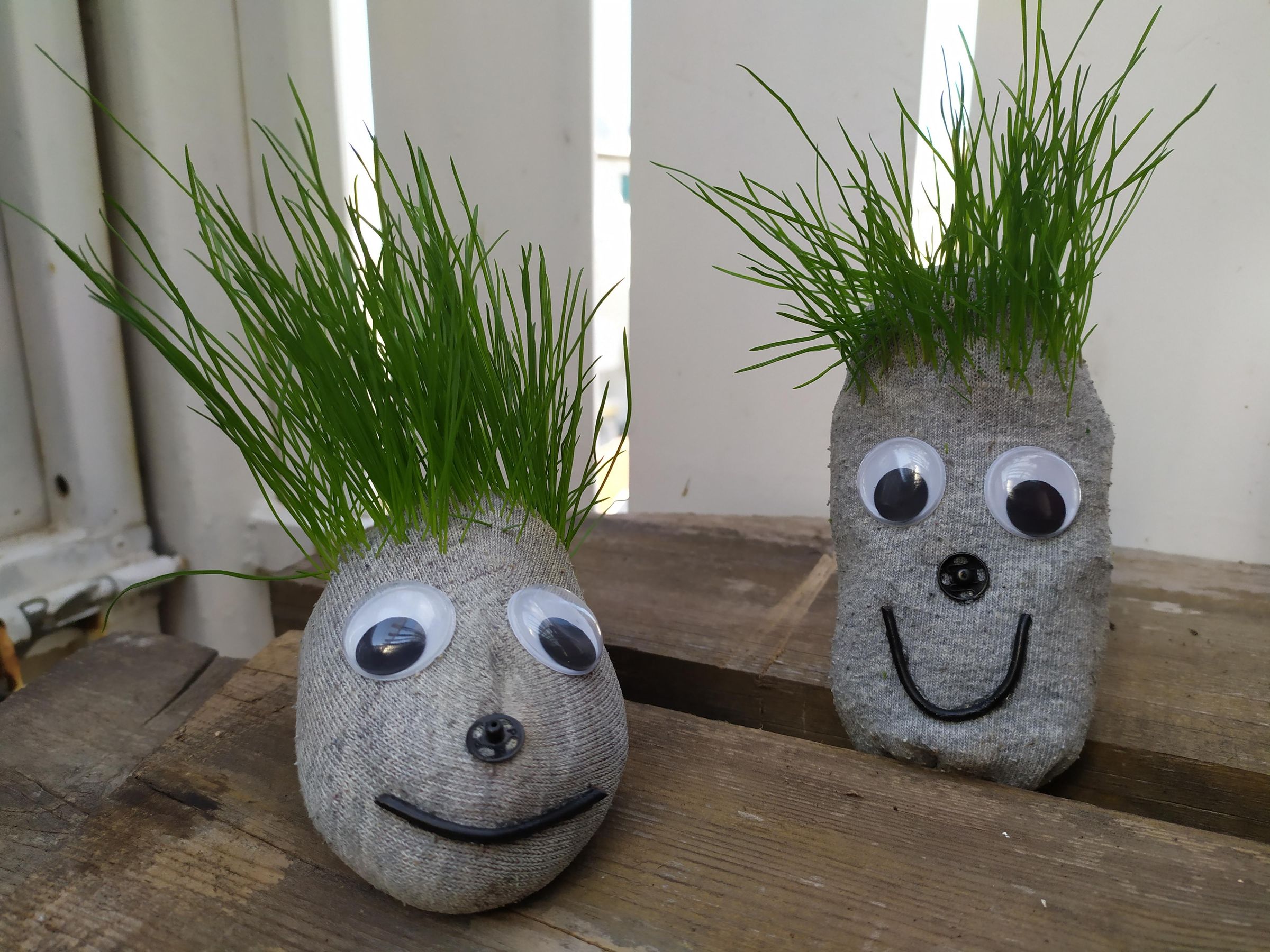 Grass Head : 6 Steps - Instructables