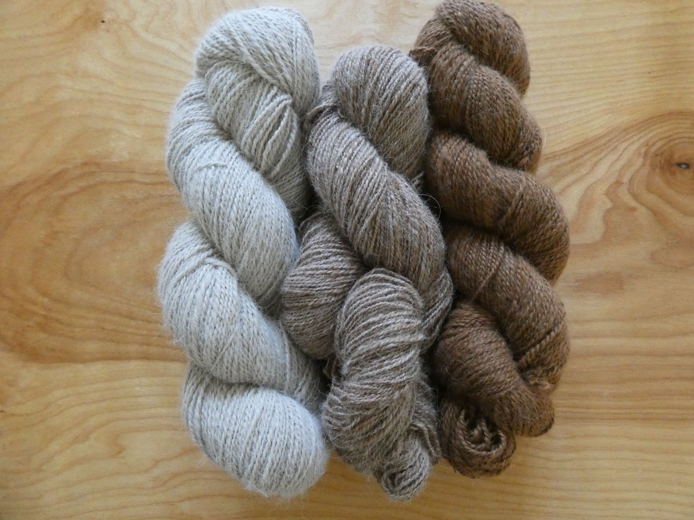 Alpaca Fleece . . . . Now What? : 10 Steps (with Pictures) - Instructables