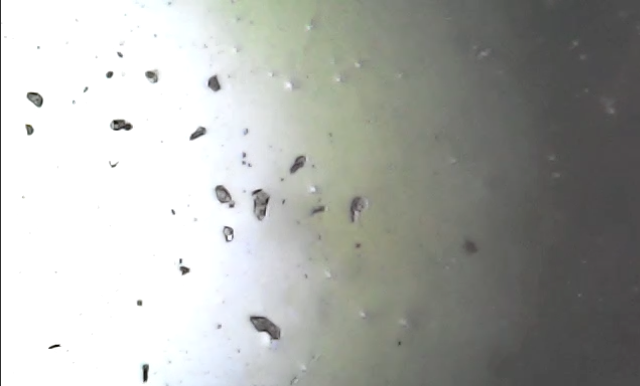 Plankton & Microplastic Collection Net : 9 Steps (with Pictures ...