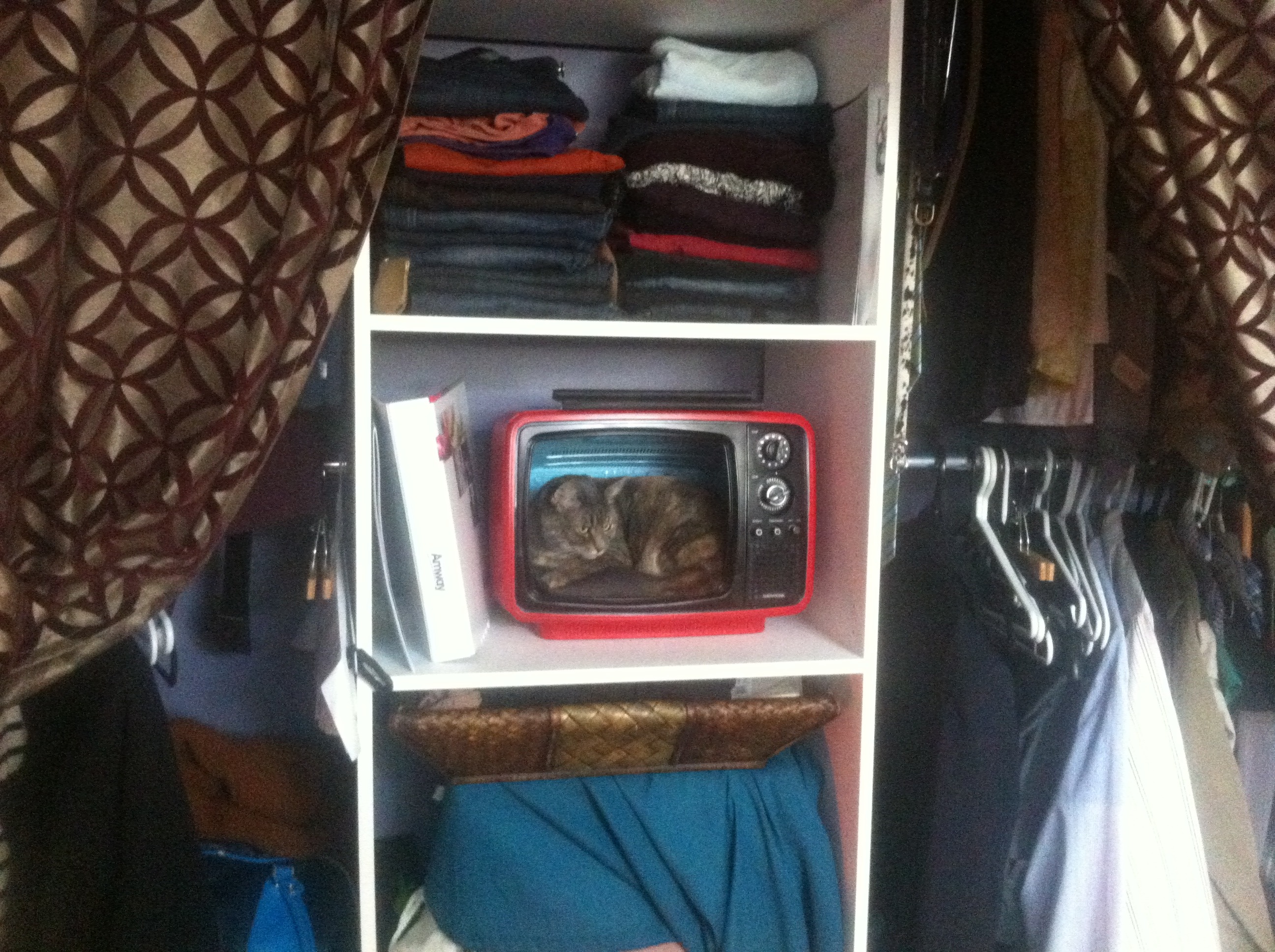 Retro TV Cat Bed : 4 Steps - Instructables