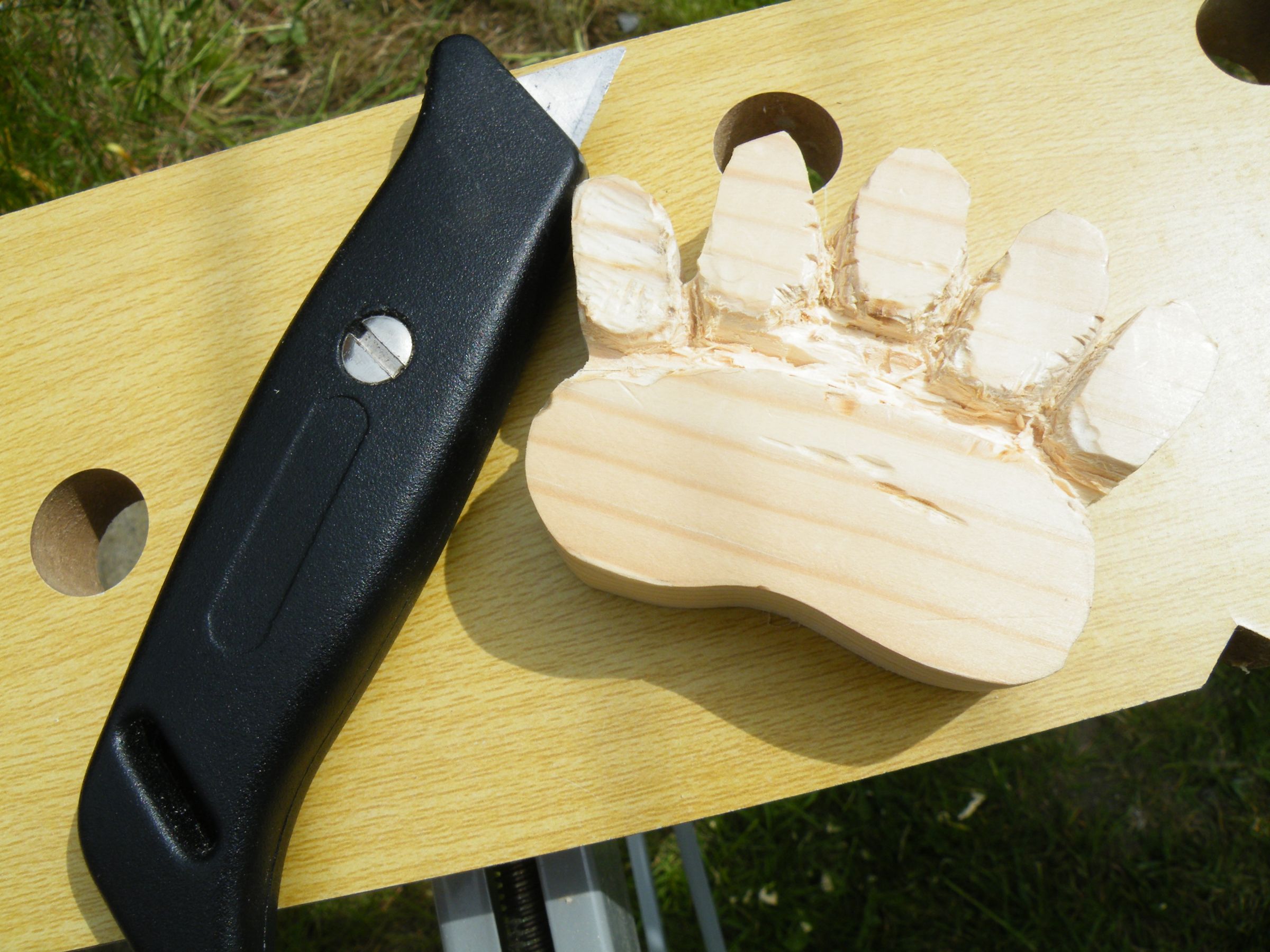 Animal Tracks for Plaster Casting. : 5 Steps (with Pictures ...