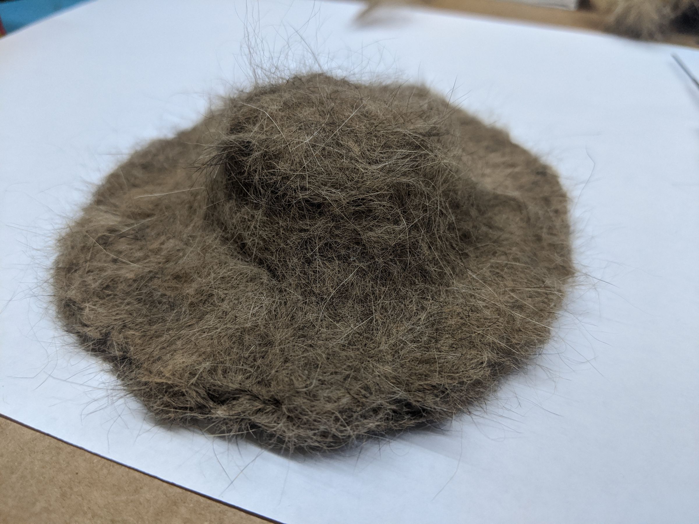 Felted Cat Fur Cat Hat : 3 Steps (with Pictures) - Instructables