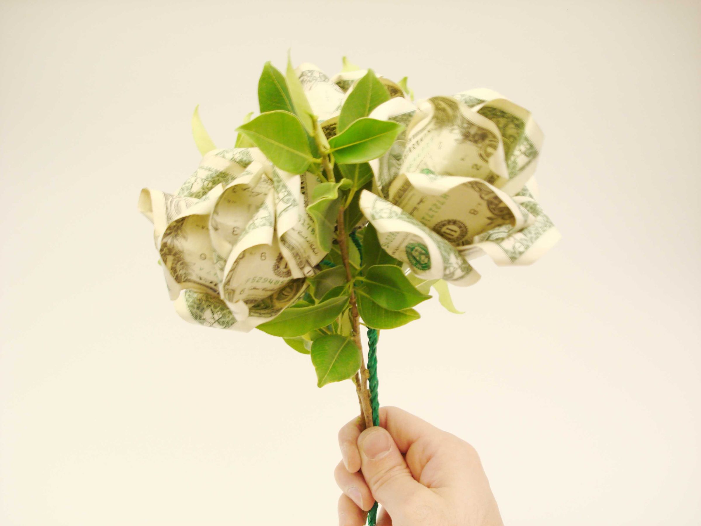 Dollar Bill Flower Bouquet : 7 Steps (with Pictures) - Instructables