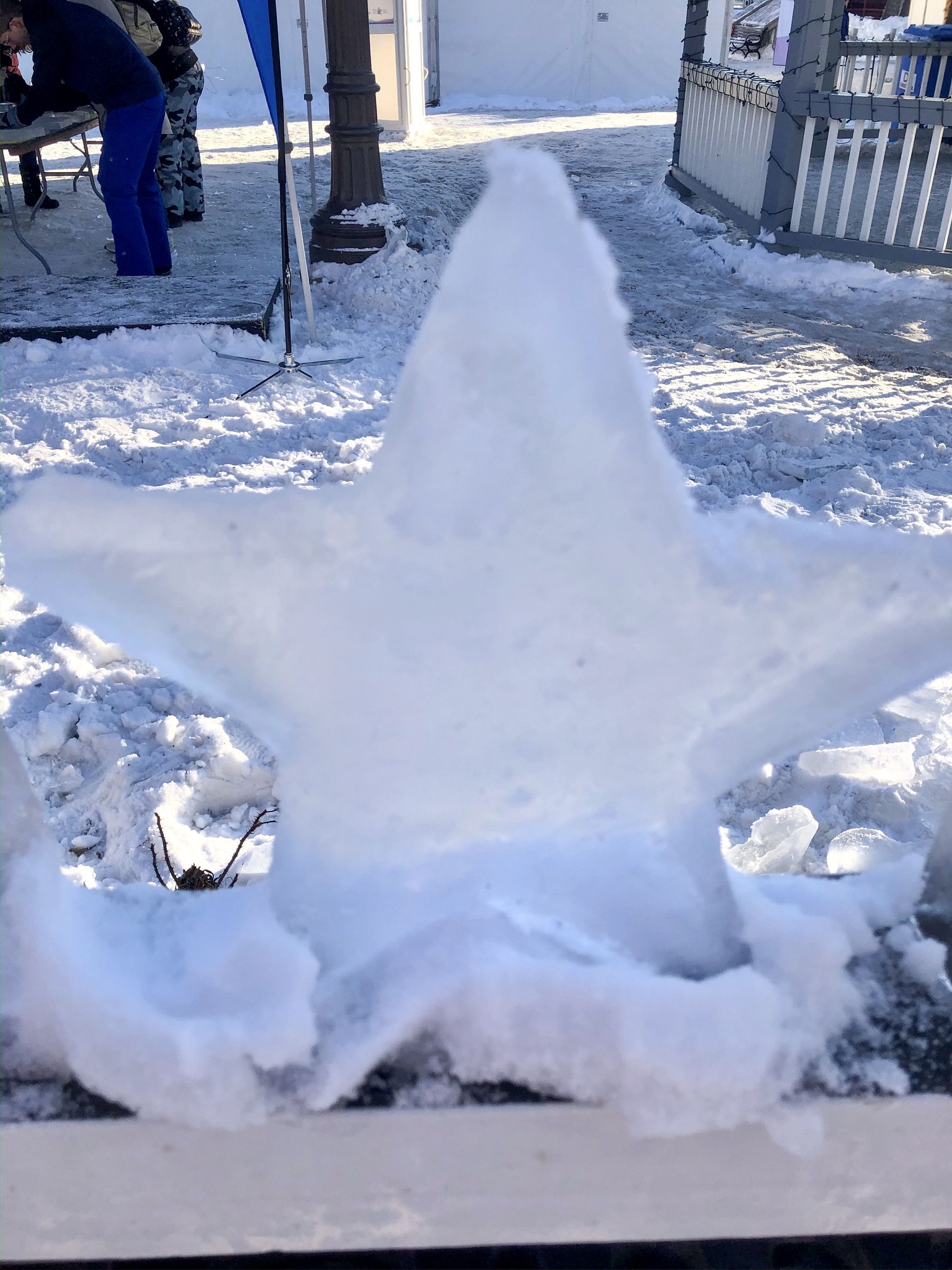 Beginner Ice Carving : 4 Steps - Instructables