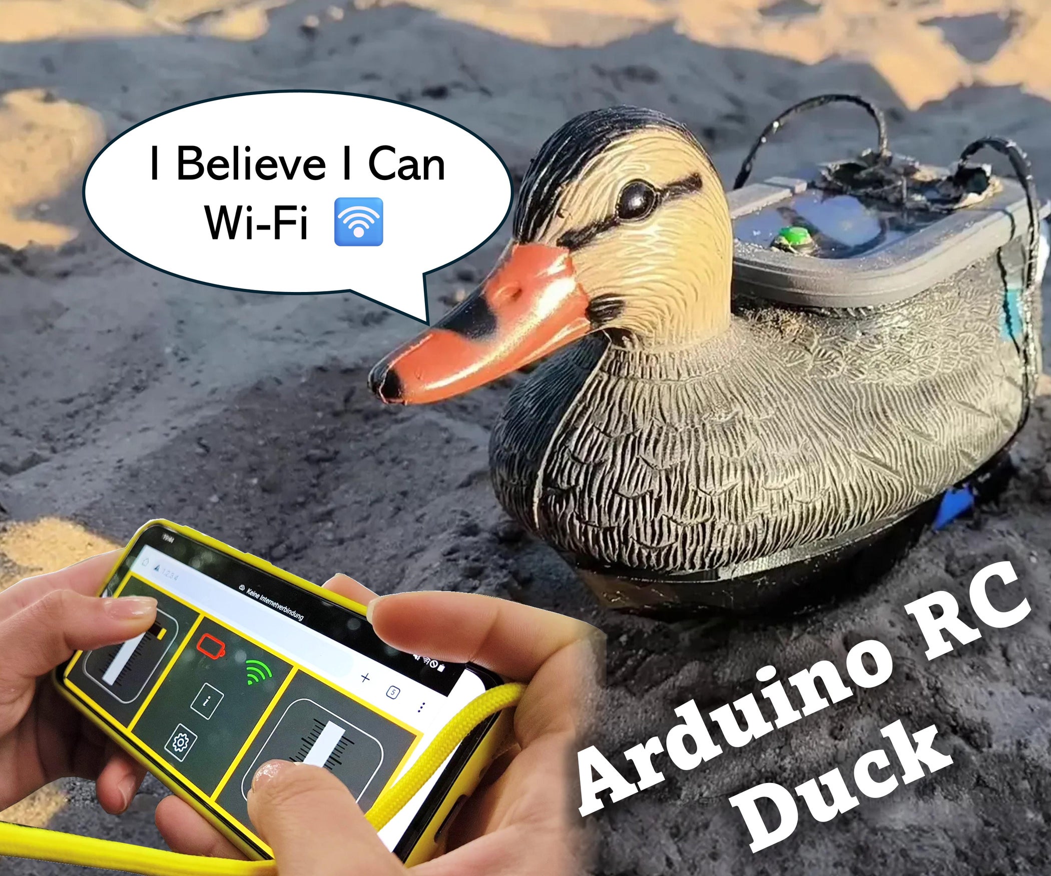 How to Build an RC Duck - With Arduino and Wi-Fi : 6 Steps (with Pictures) - Instructables