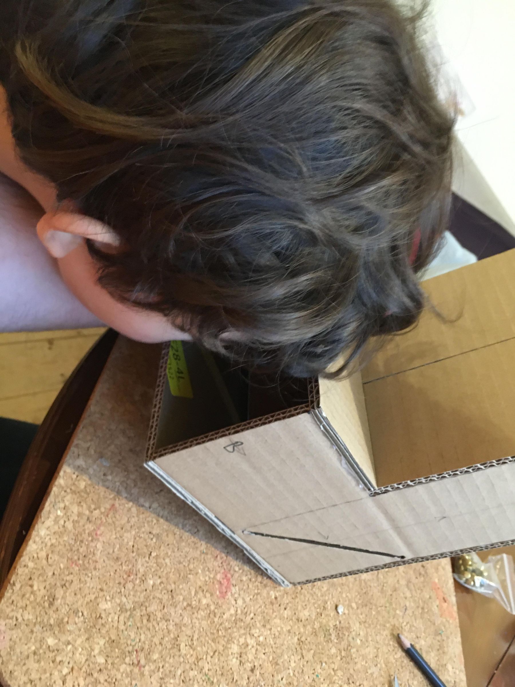 DinoScope: Dinosaur Periscope - Made From Cardboard! : 33 Steps (with ...