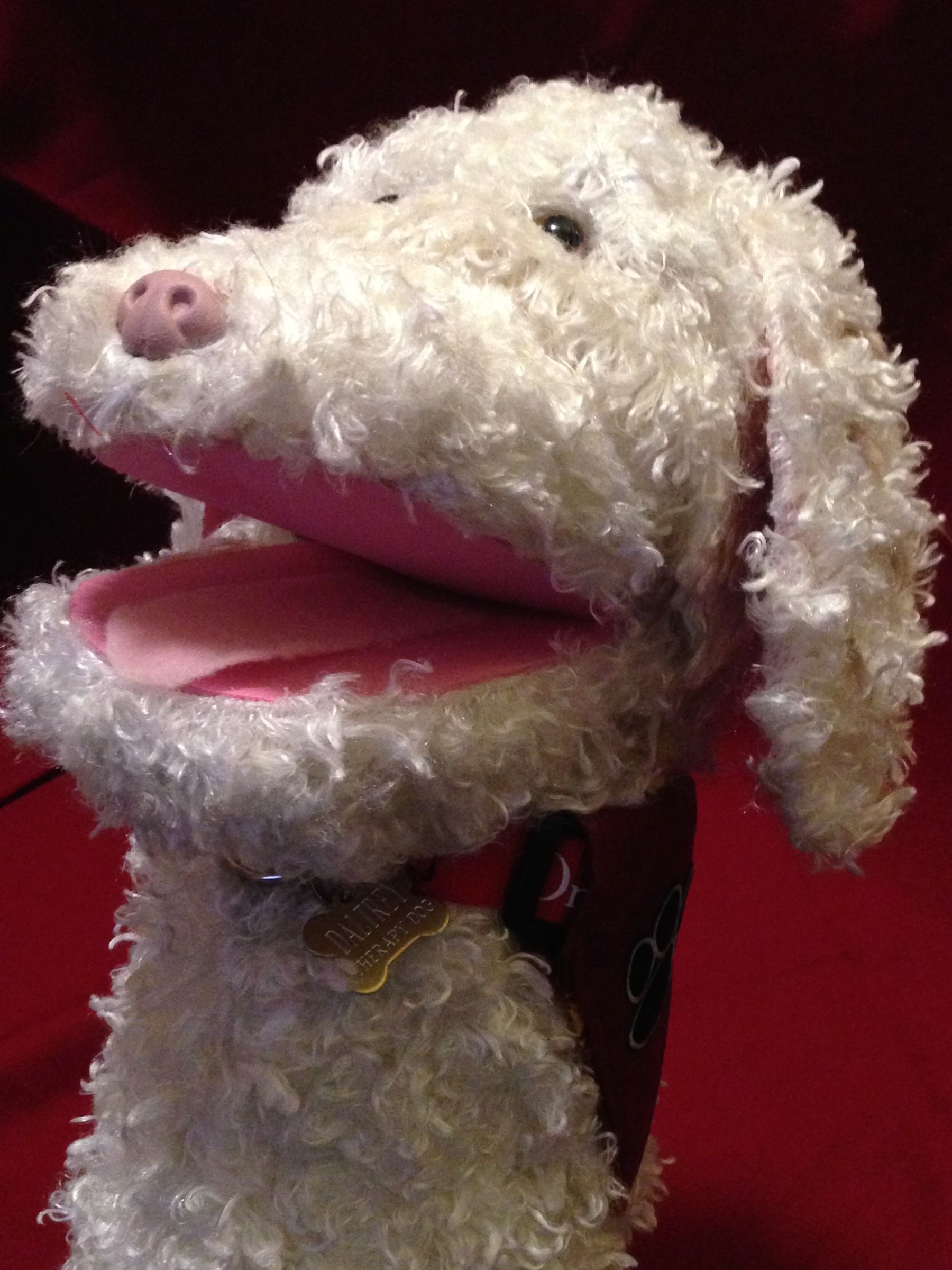 DIY Dog Puppet : 5 Steps (with Pictures) - Instructables
