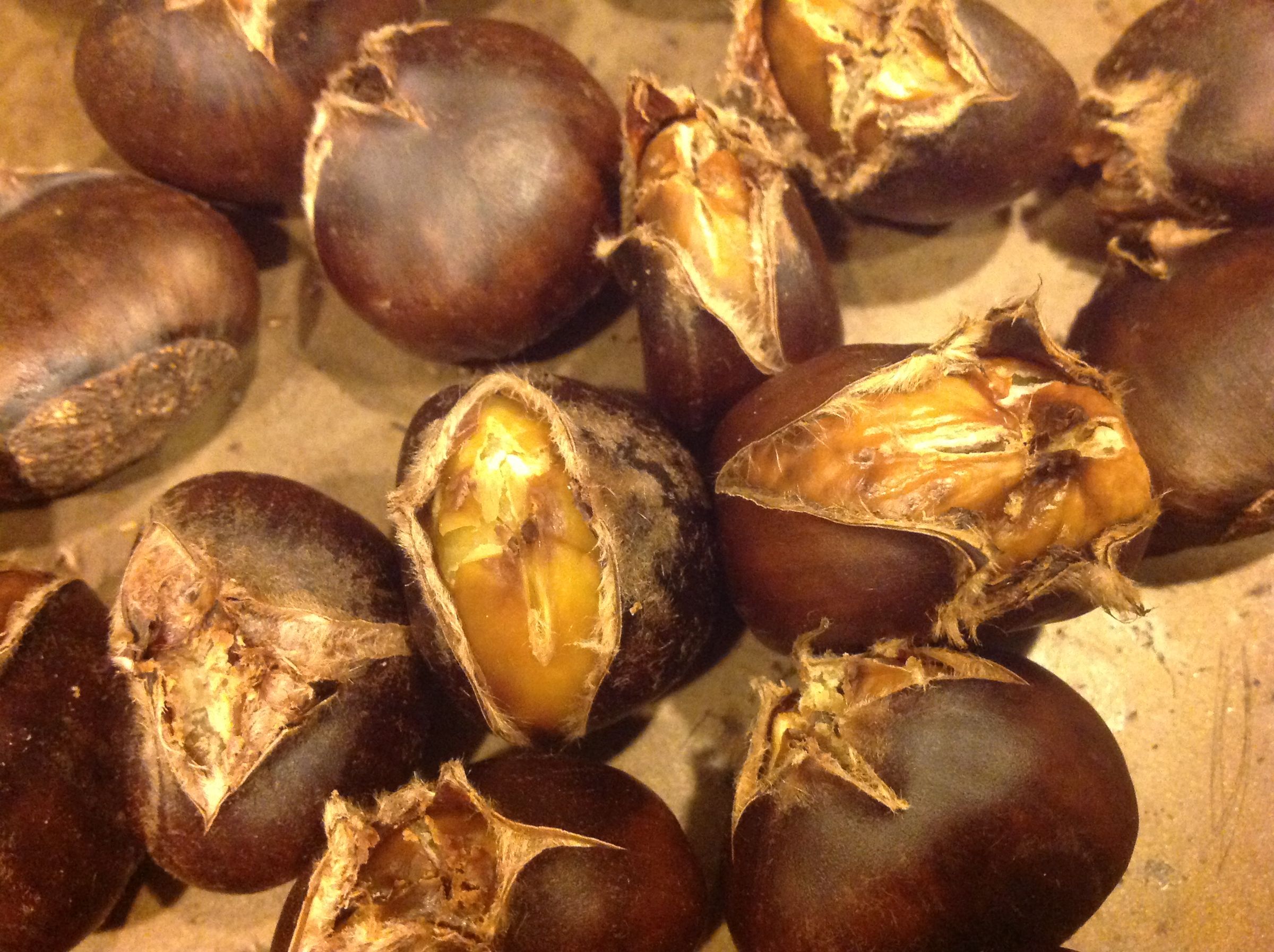 Spectacular Roasting Chestnut Explosion - Instructables