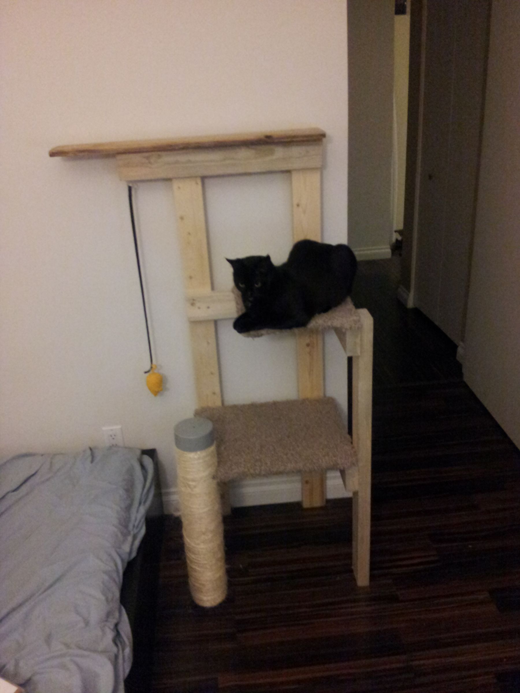 Classy Cat Tower : 6 Steps (with Pictures) - Instructables
