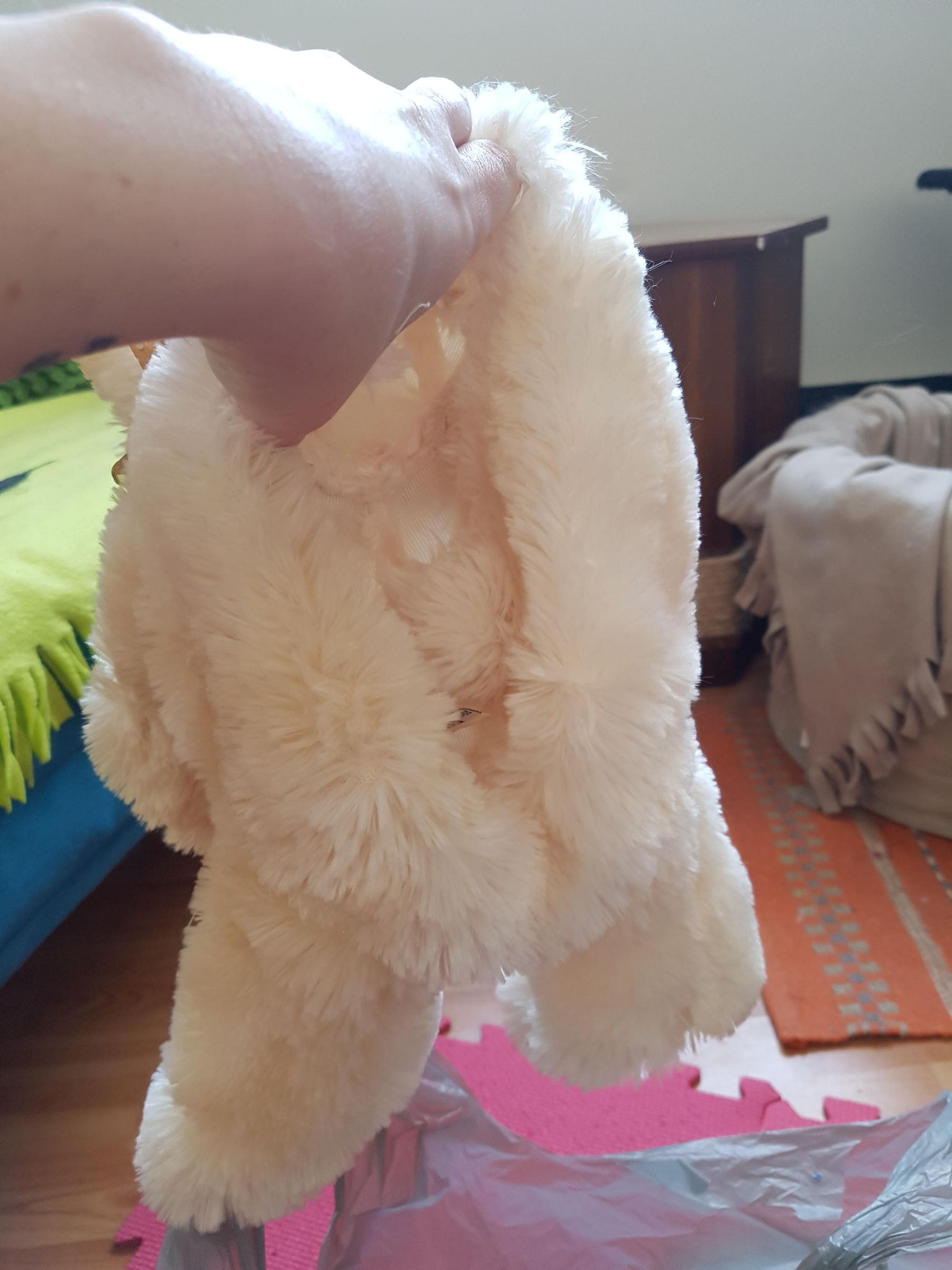 Turn Your Pet Into a Real Life Teddy Bear : 7 Steps (with Pictures ...