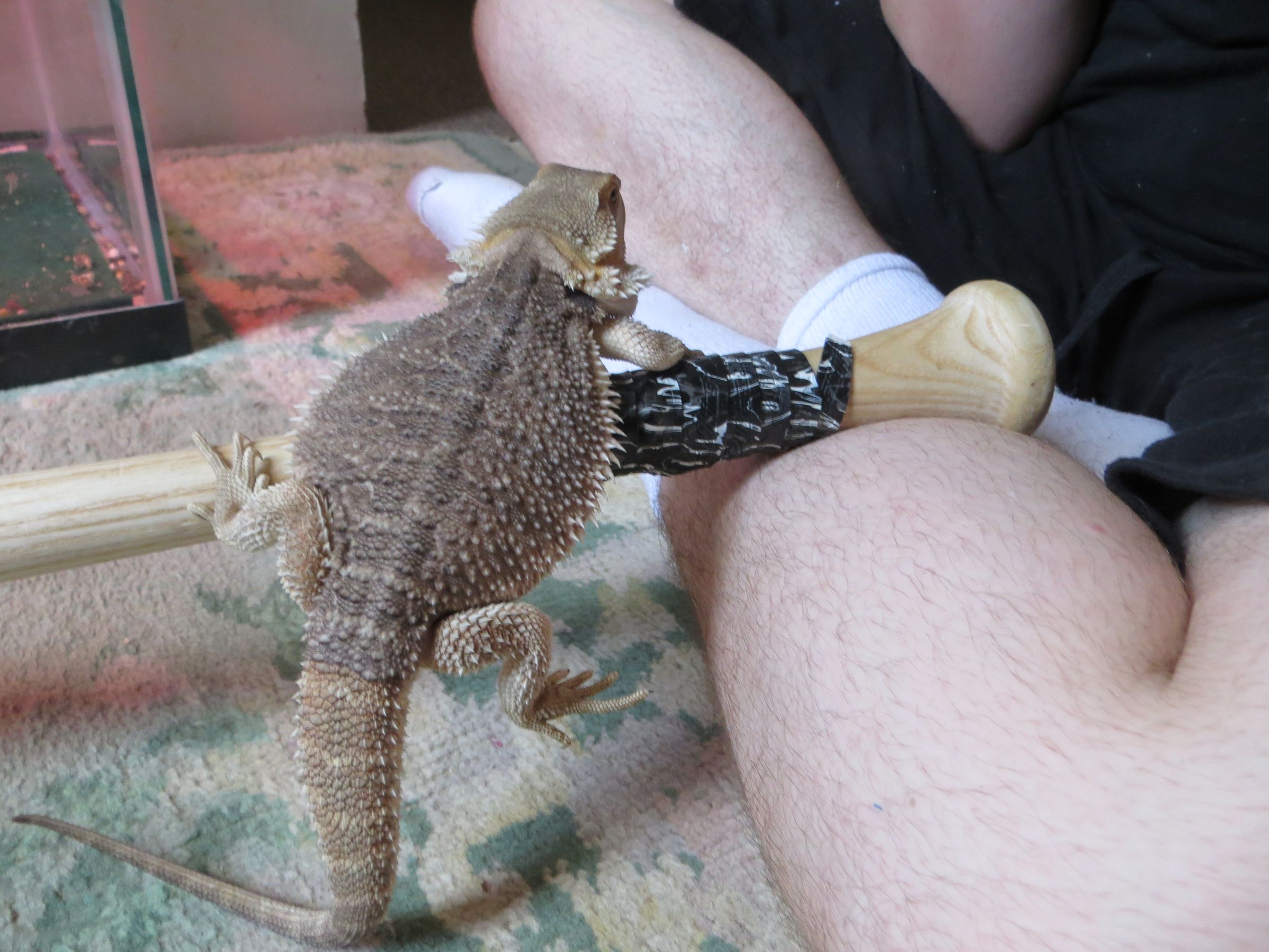 GRIP IT."Lizard Skins"tm : 5 Steps - Instructables