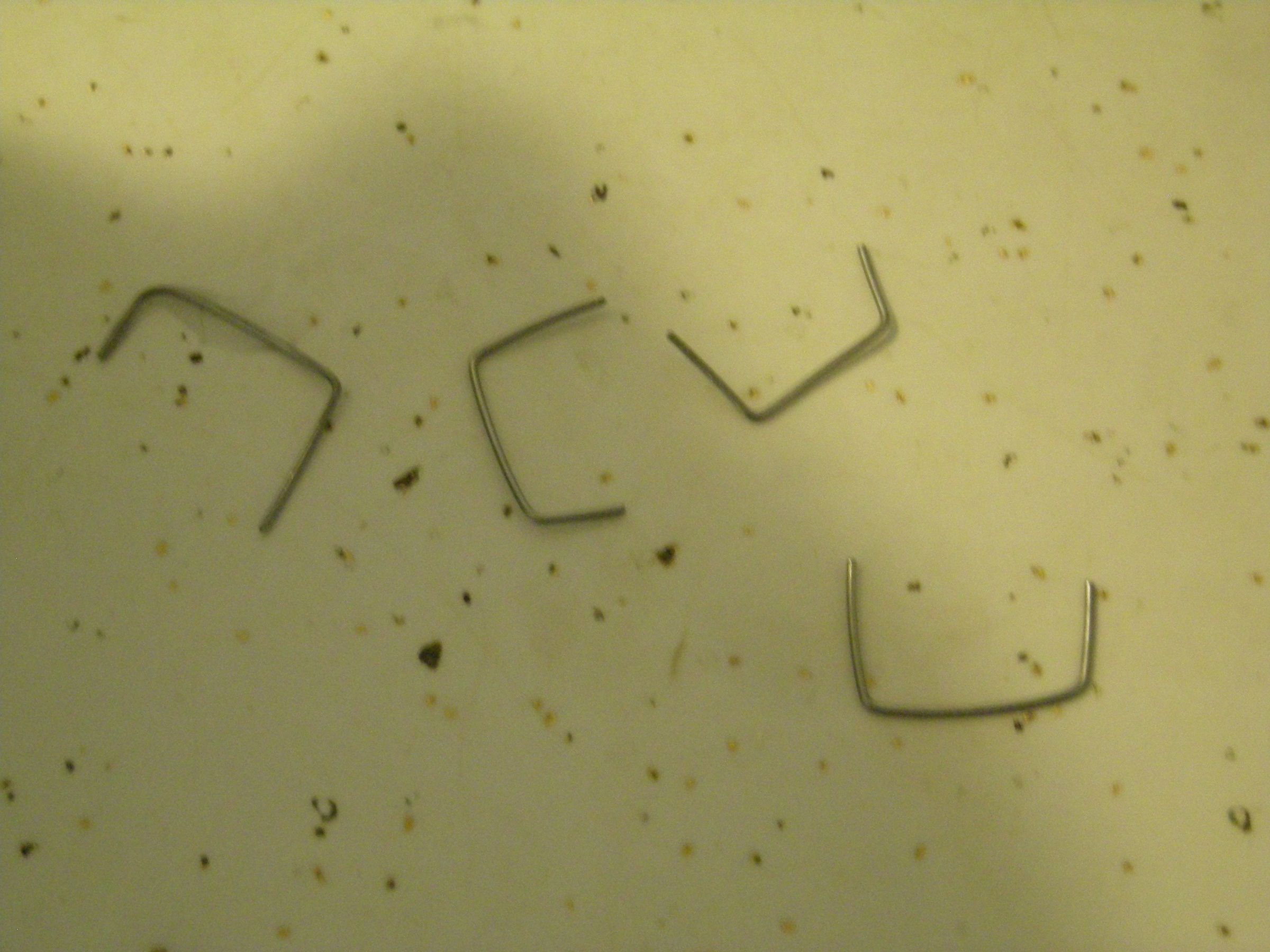 Pumpkin Surgery : 9 Steps - Instructables